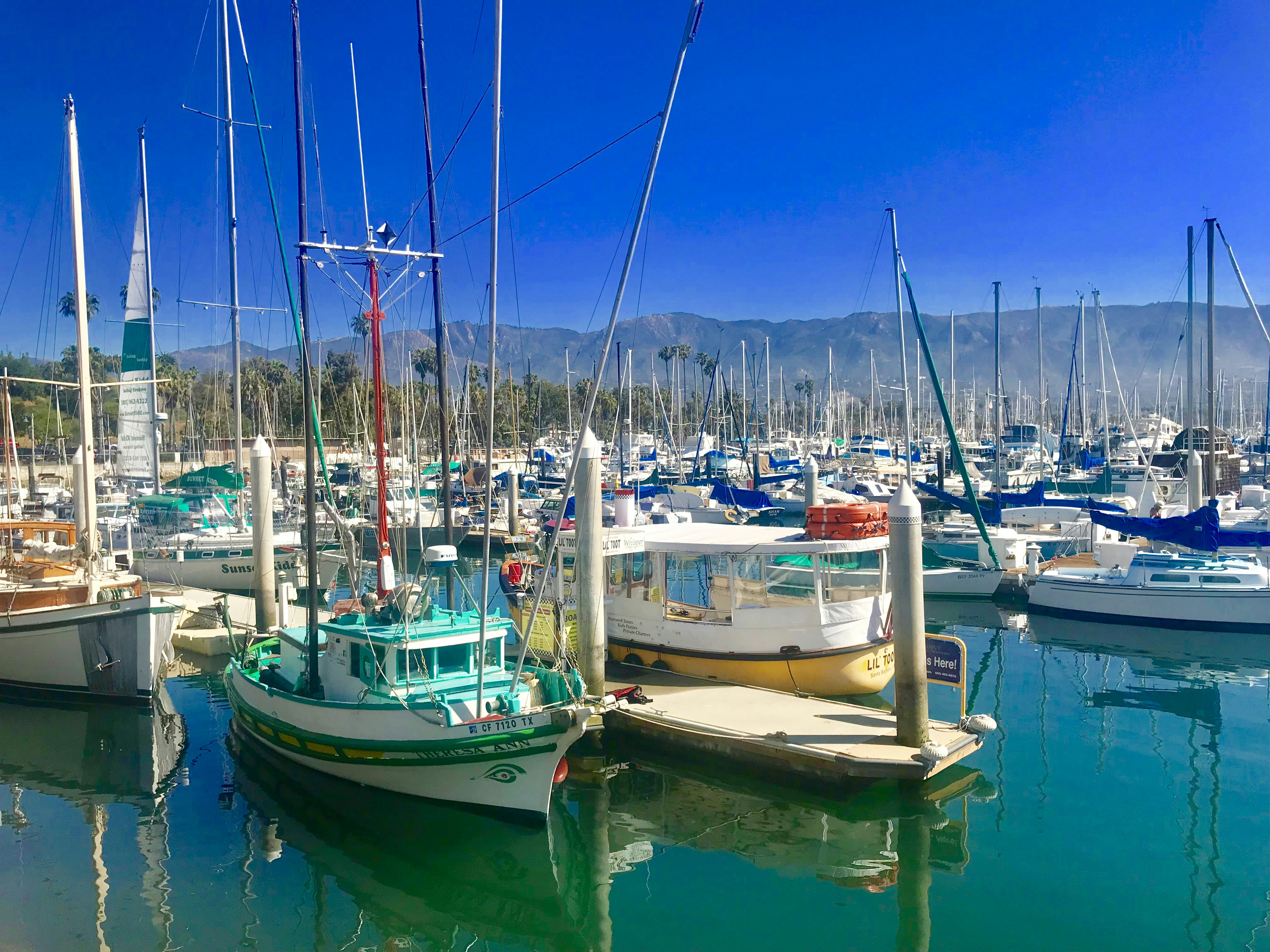 White and blue boat docked among a fleet of sailboats under a clear blue sky.