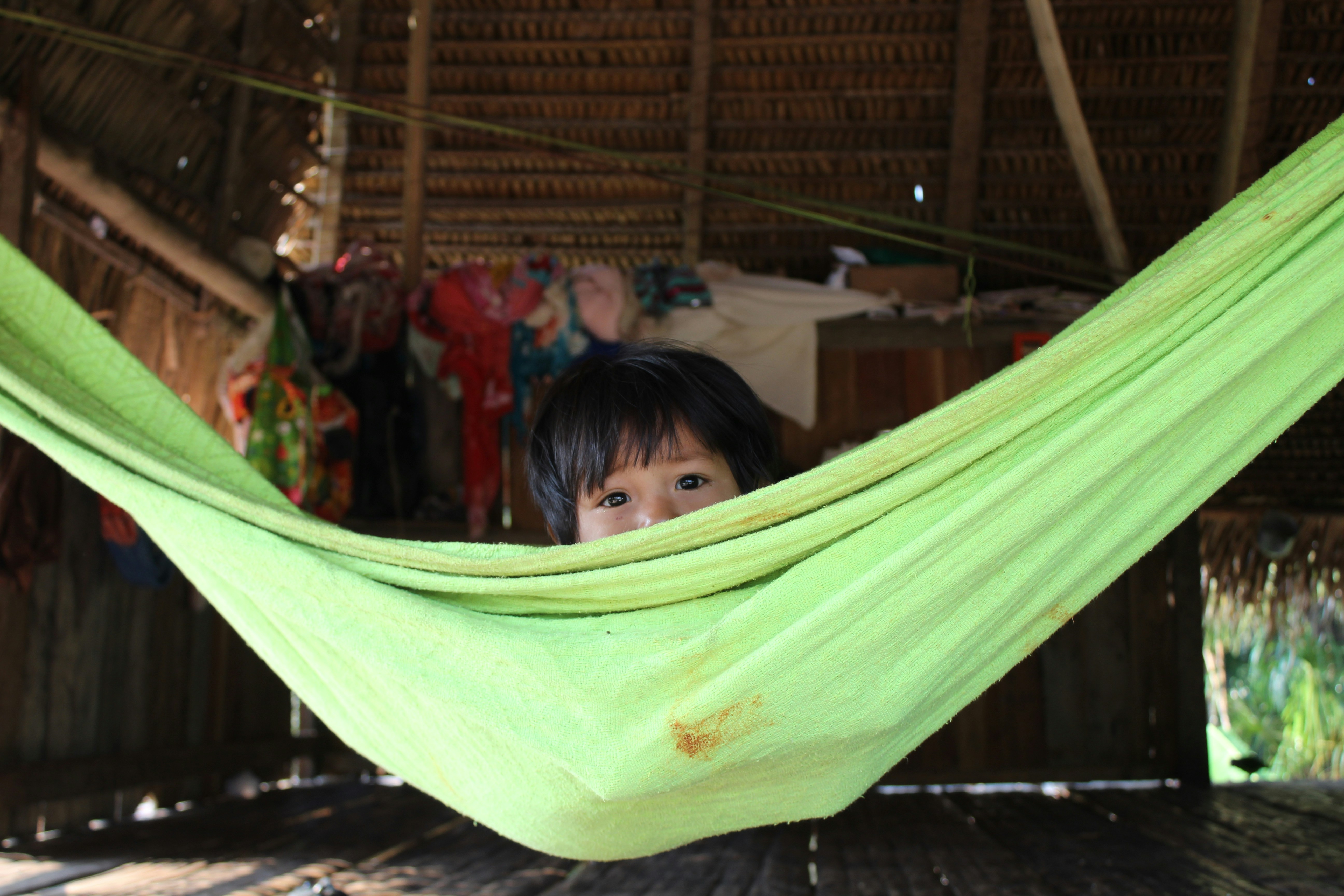 Glimpse from the Green Hammock: A Child's Quiet Watch