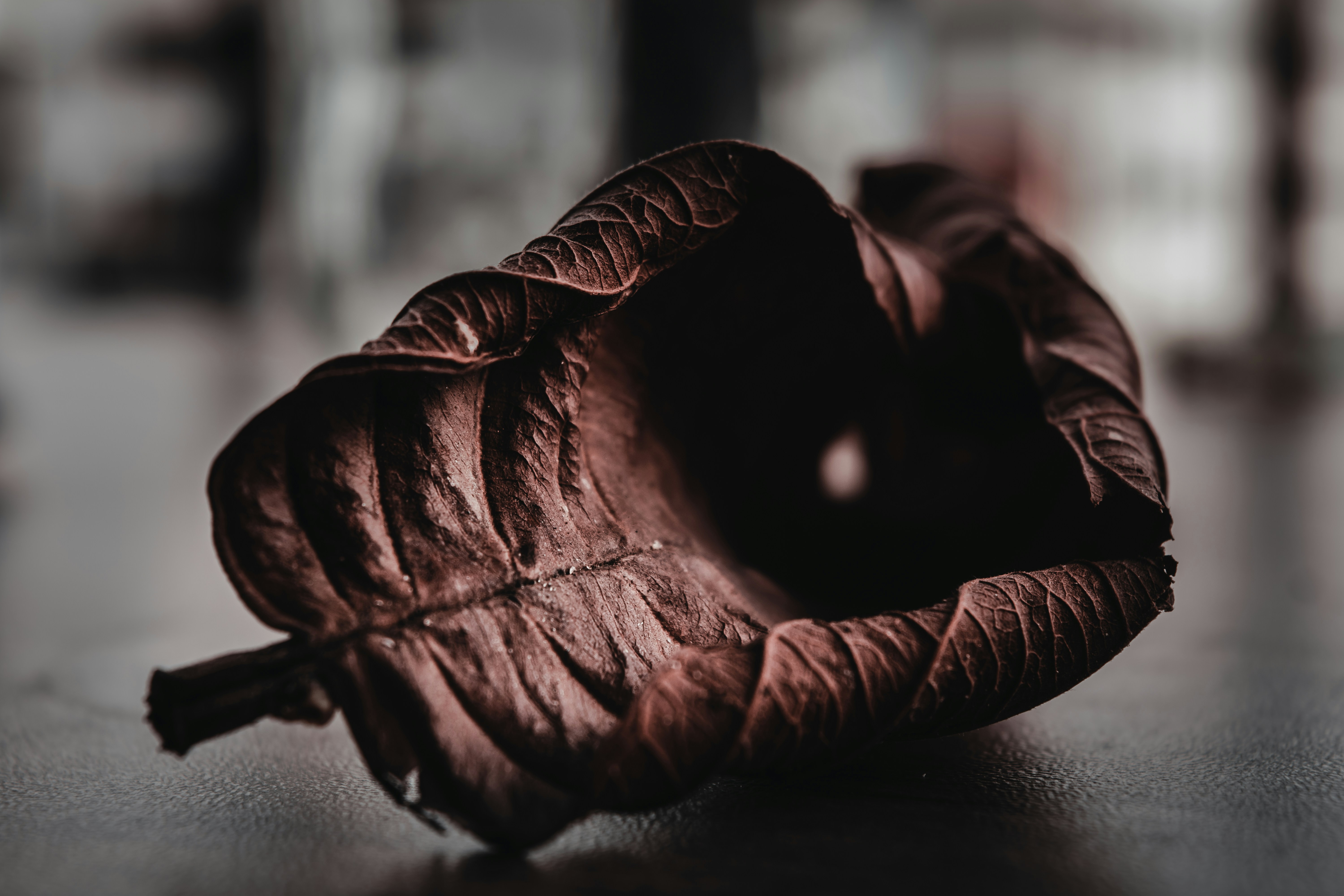 Antique Rusty Leaf