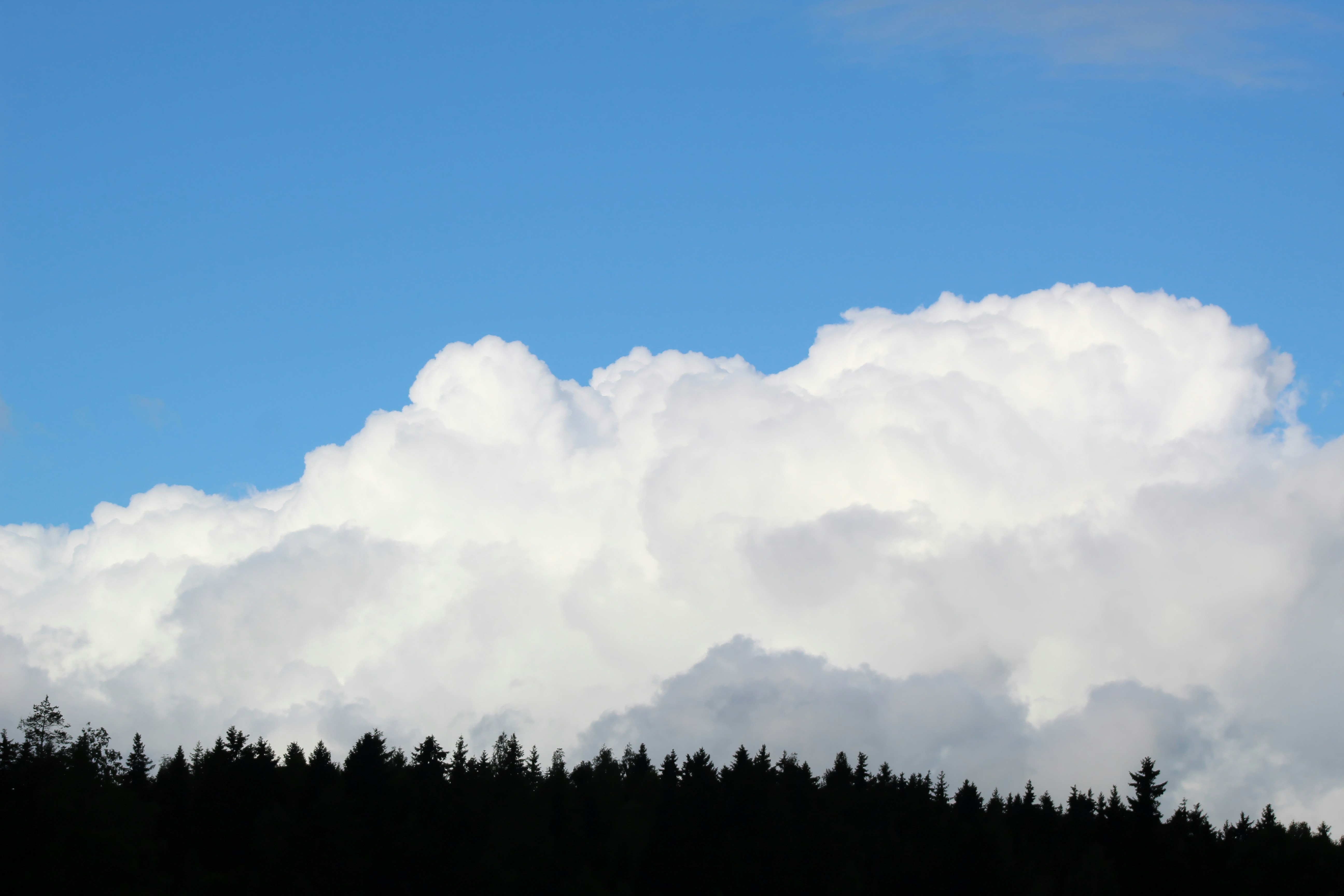 Whispers of the Sky: A Cloudy Reverie