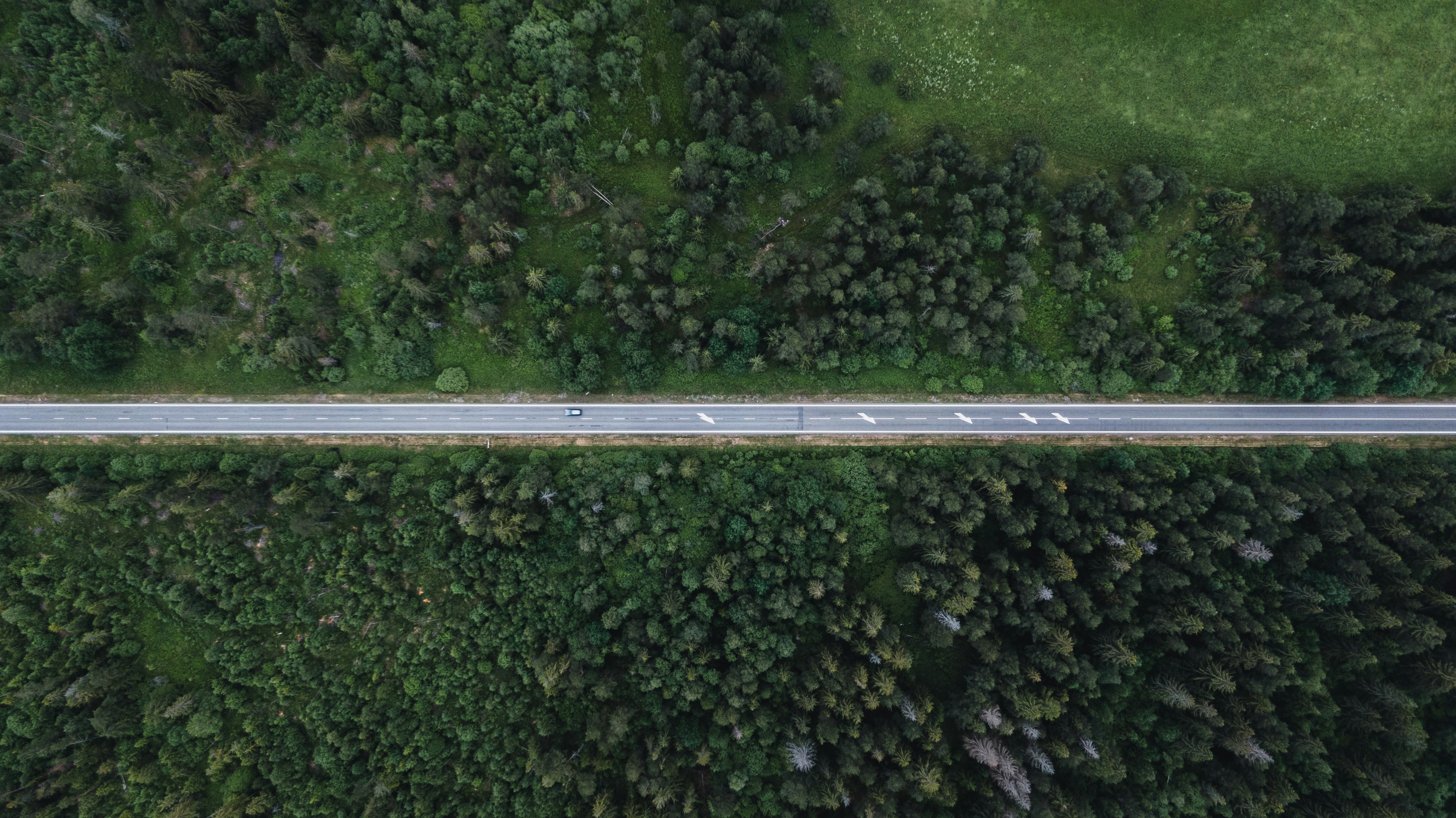 Aerial view of a winding road cutting through a dense forest, showcasing the contrast between asphalt and lush greenery.