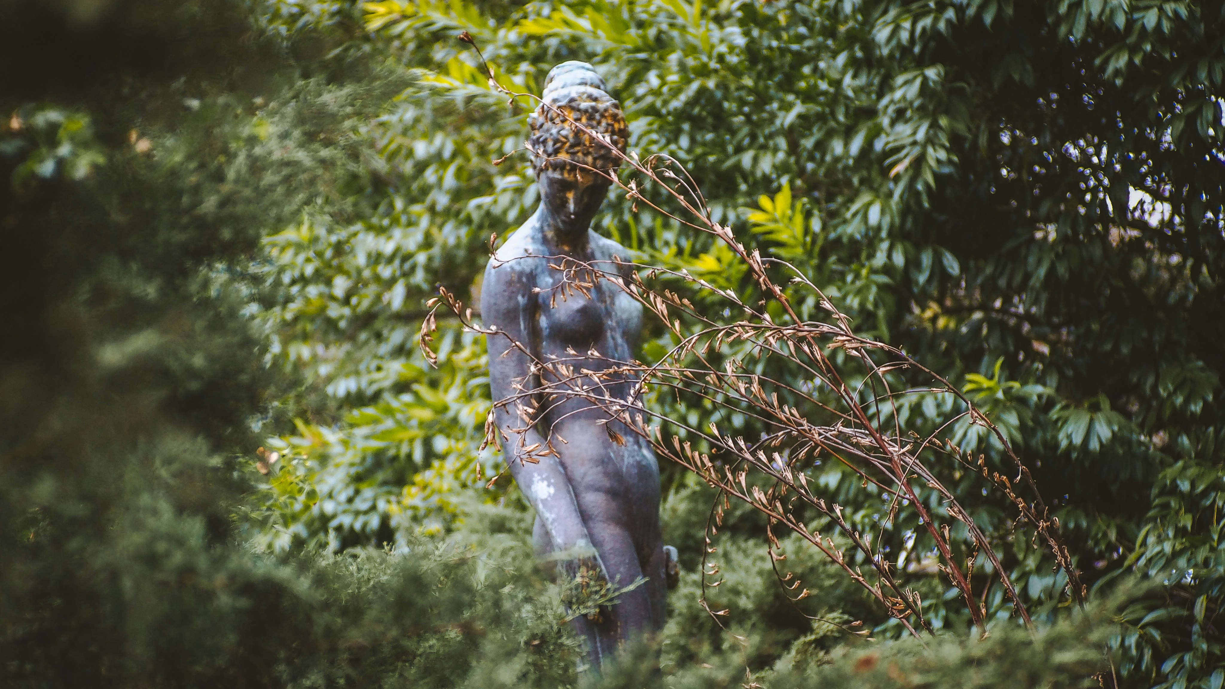Bronze statue partially concealed by lush foliage and climbing vines in a garden setting.
