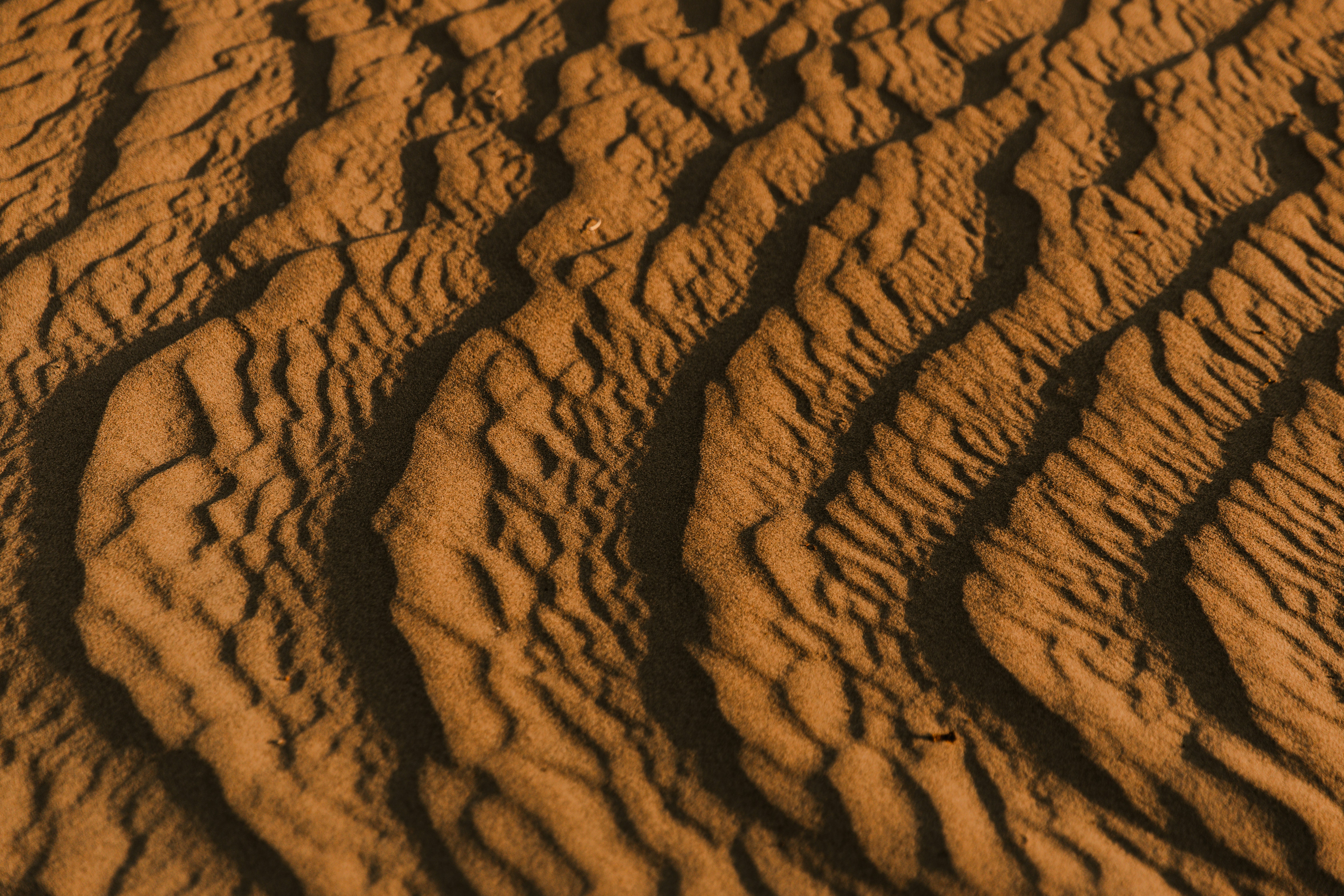 Intricate patterns of wind-sculpted sand create a mesmerizing texture across the desert landscape.