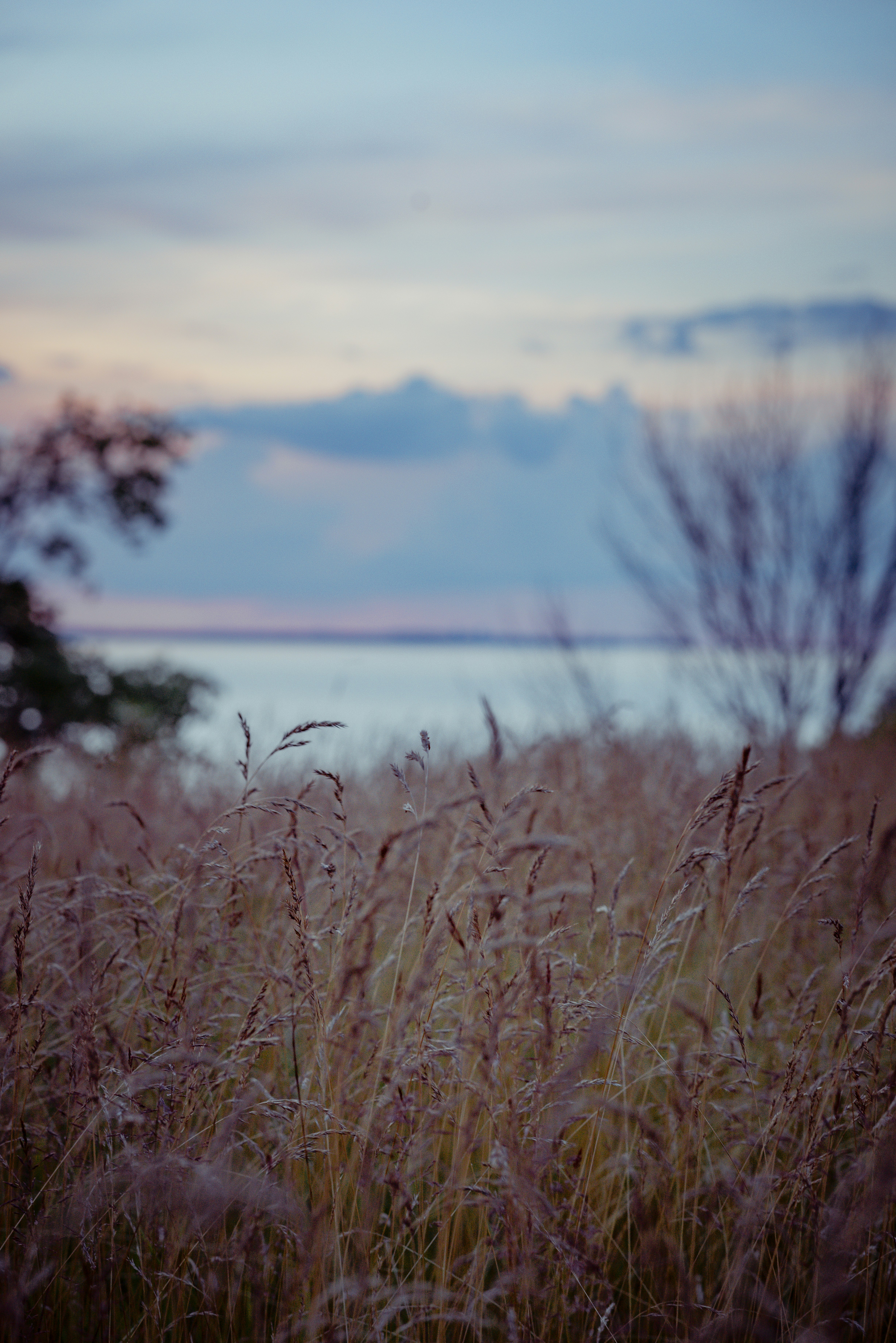 Alex Simpson (@m_simpsan) | Unsplash Photo Community