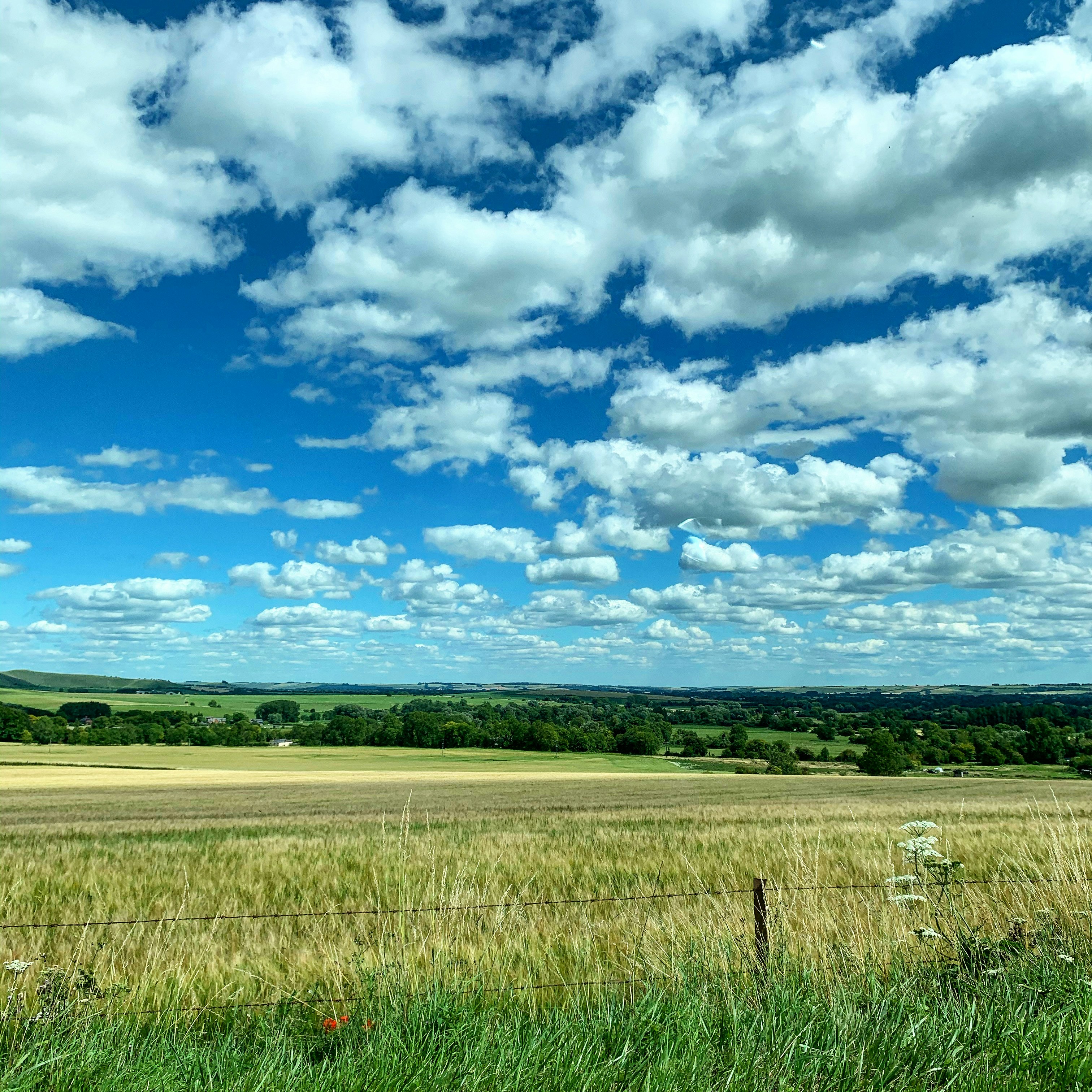 Rolling countryside and bubbly clouds  | green grass field under blue sky and white clouds during daytime