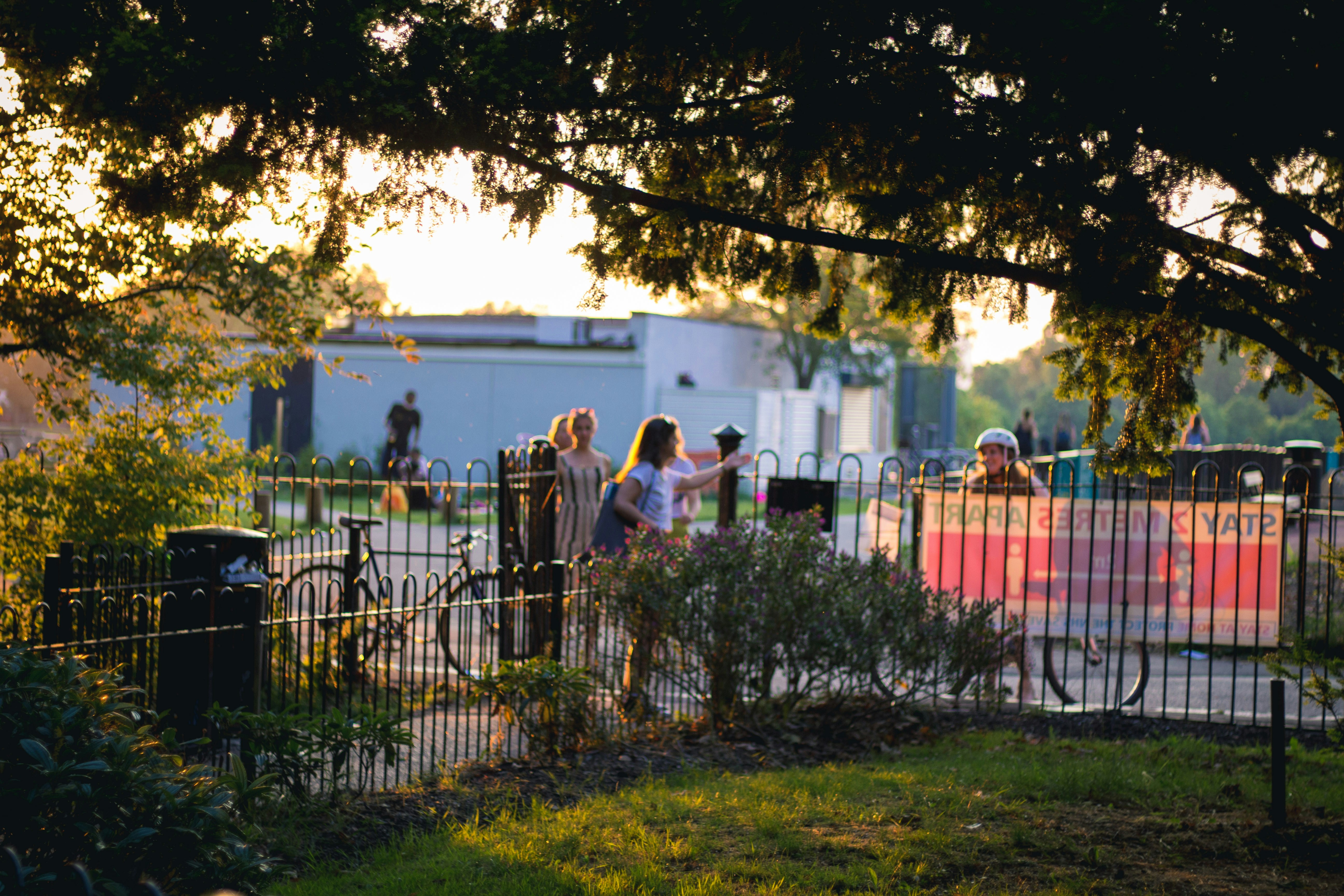 Group of people interacting in a park setting, framed by lush greenery and soft evening light. The scene conveys a sense of community and leisure.