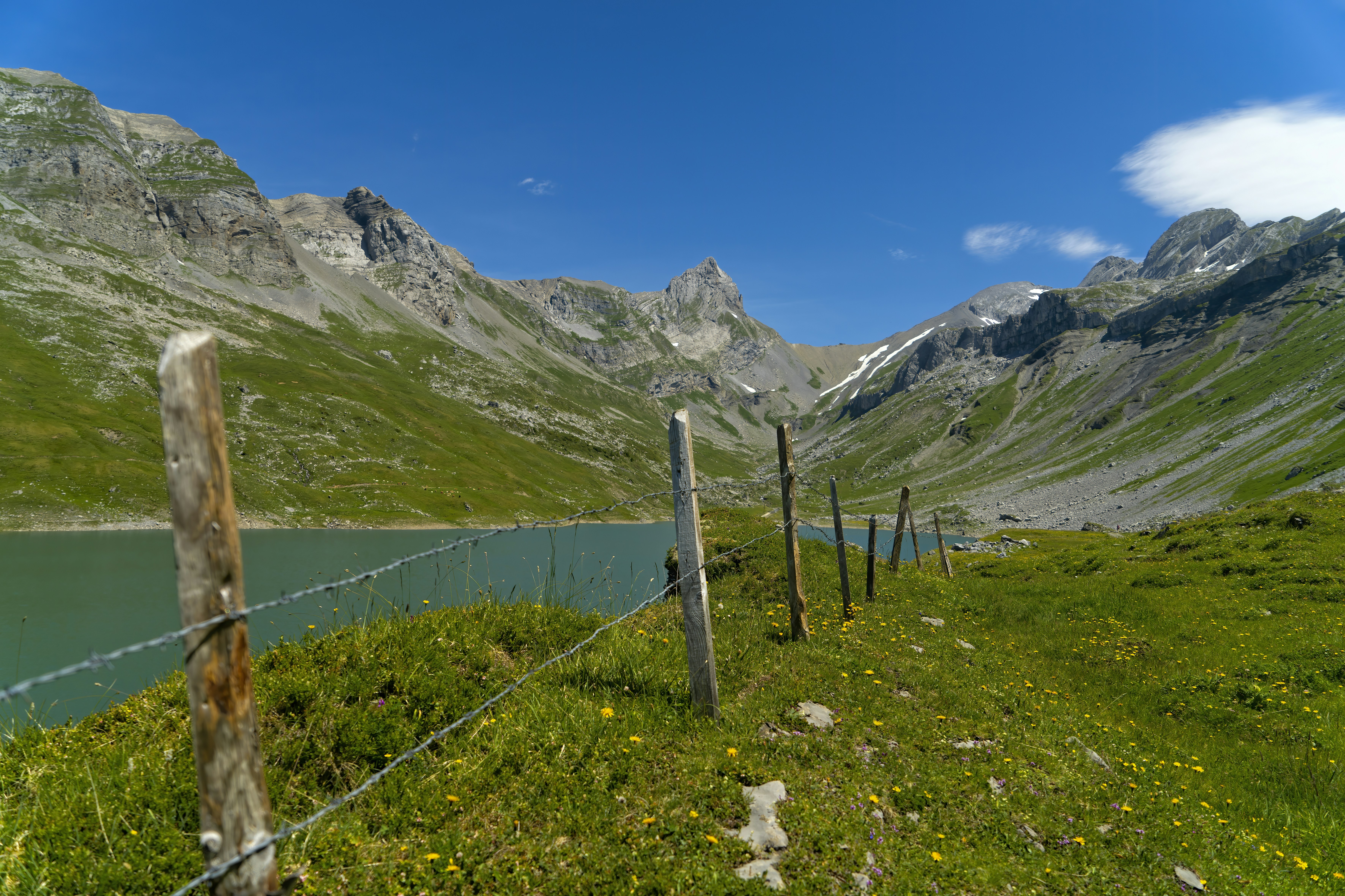 Behind the fence