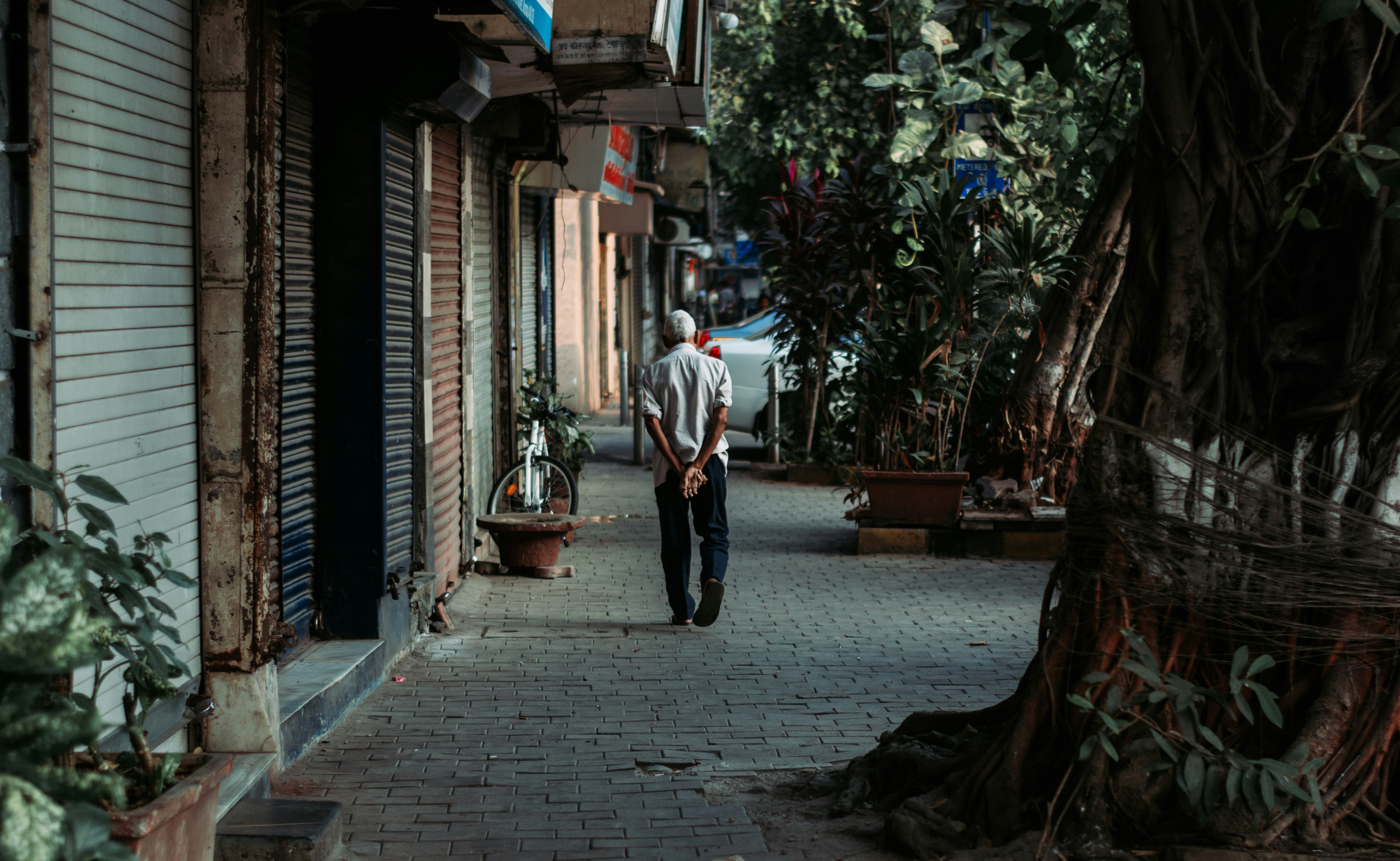 Solitude Amidst the Urban Jungle