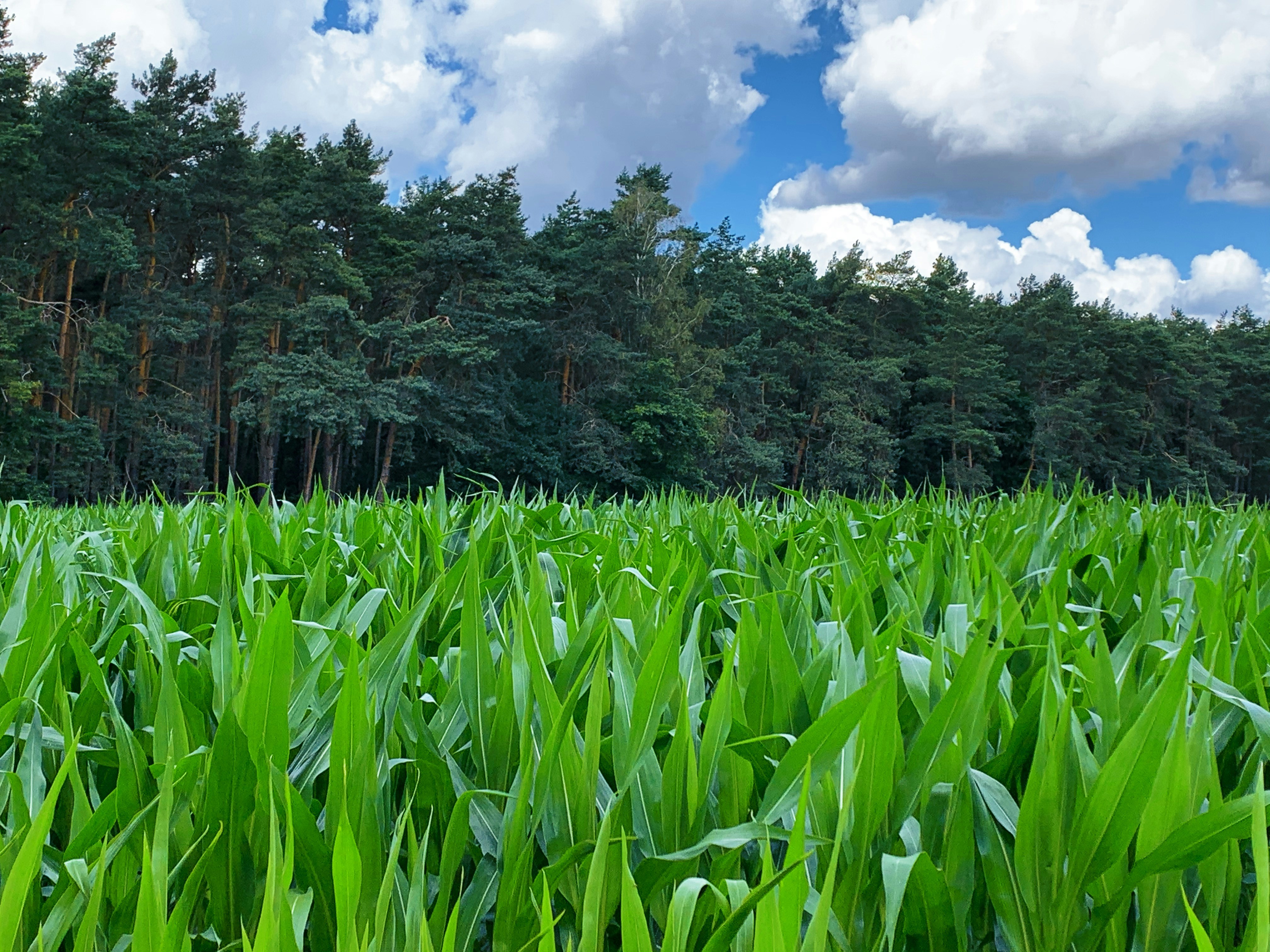 Tania P (@tpl) | Unsplash 사진 커뮤니티