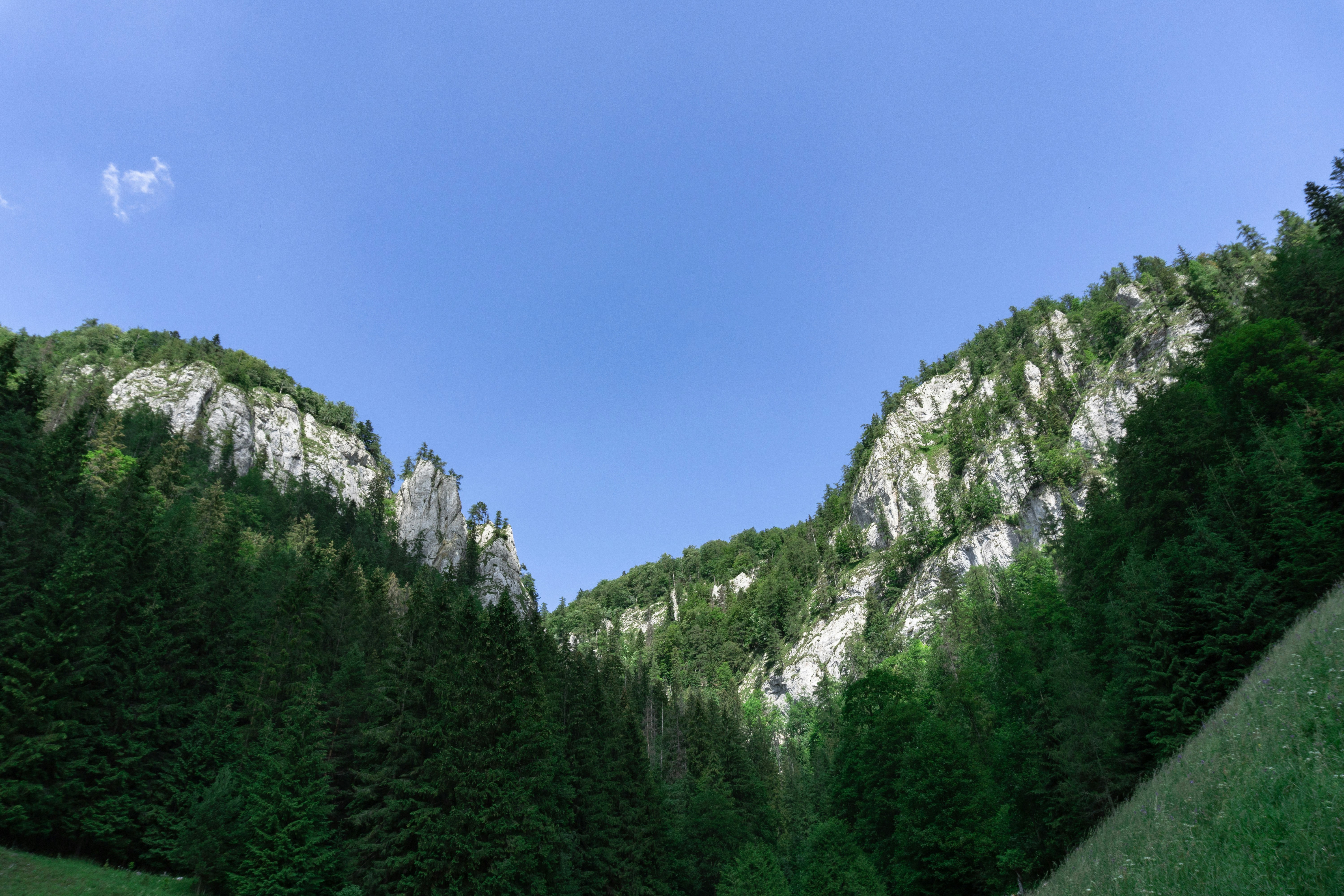 Twin Valley Escarpment Under Open Sky