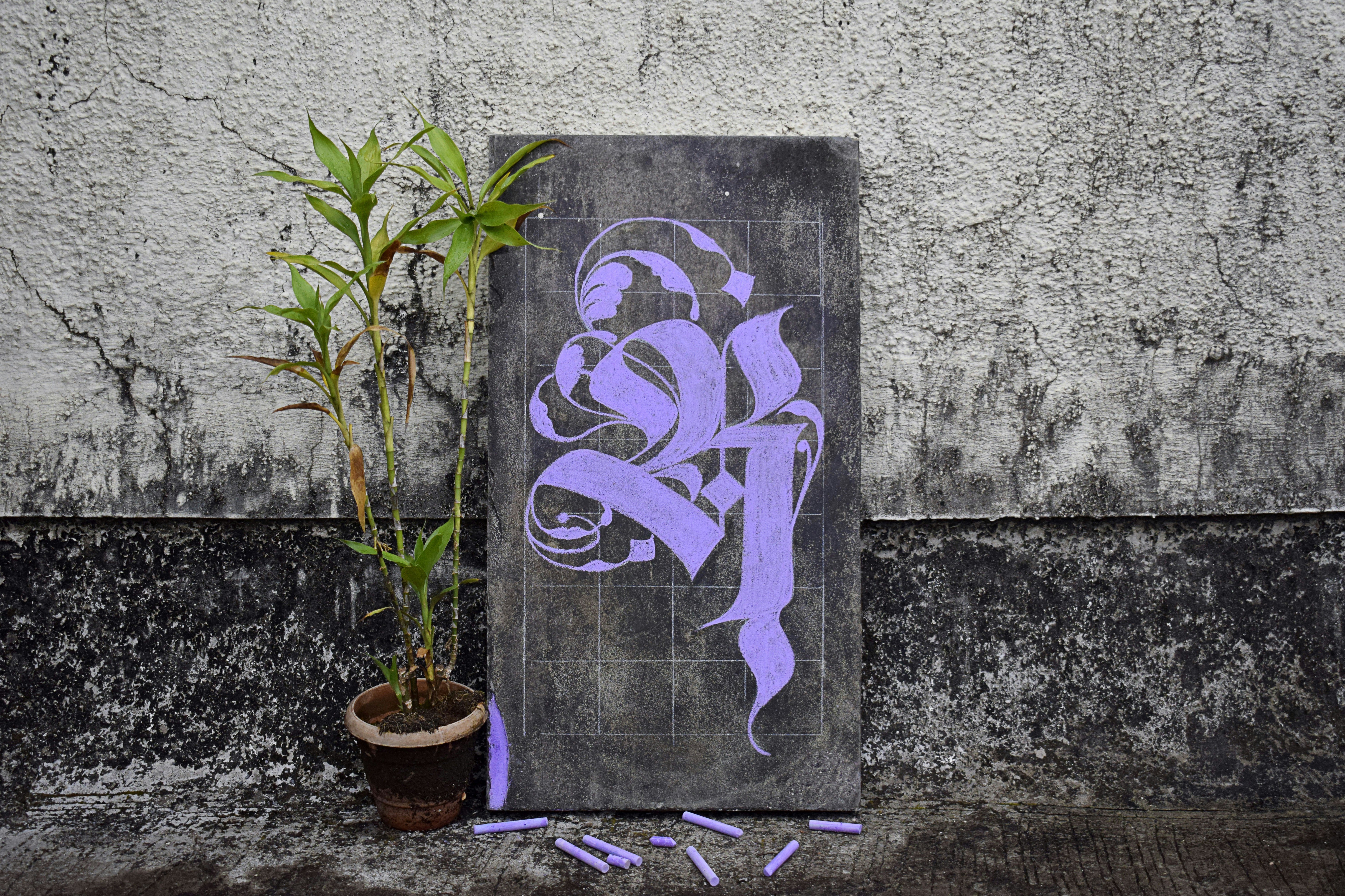 A vibrant purple calligraphy piece on a textured gray wall, complemented by a potted plant, showcasing the contrast between art and nature.