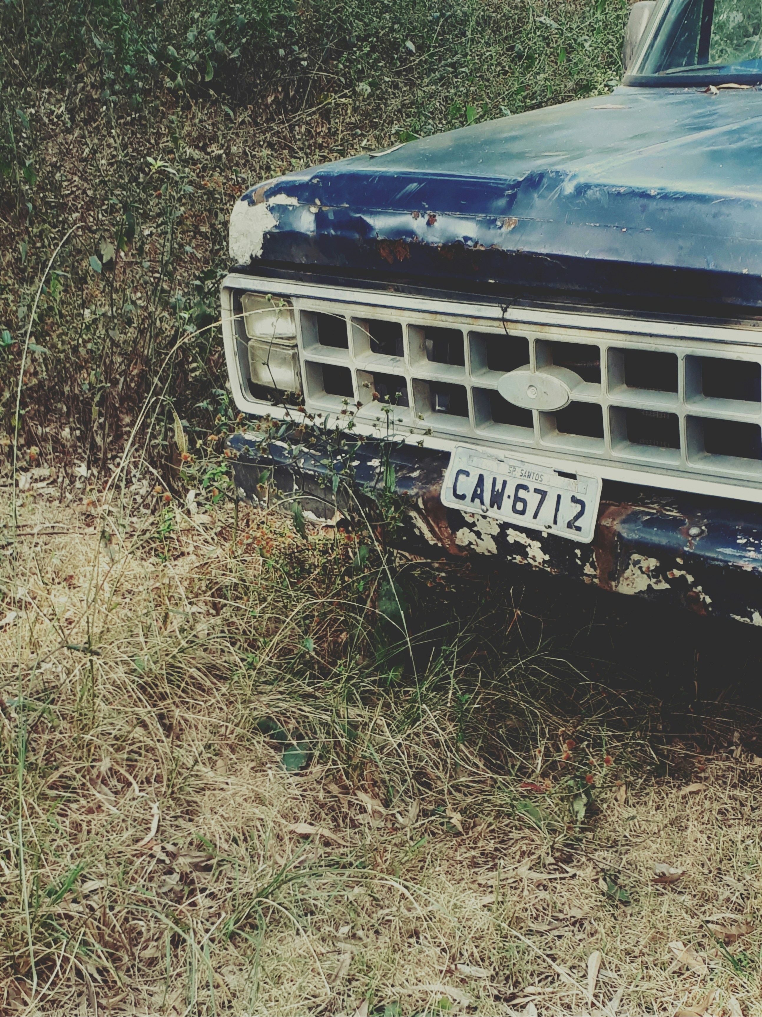 An old, weathered pickup truck partially hidden in overgrown grass, showcasing its faded paint and vintage design. The scene evokes nostalgia for a bygone era.
