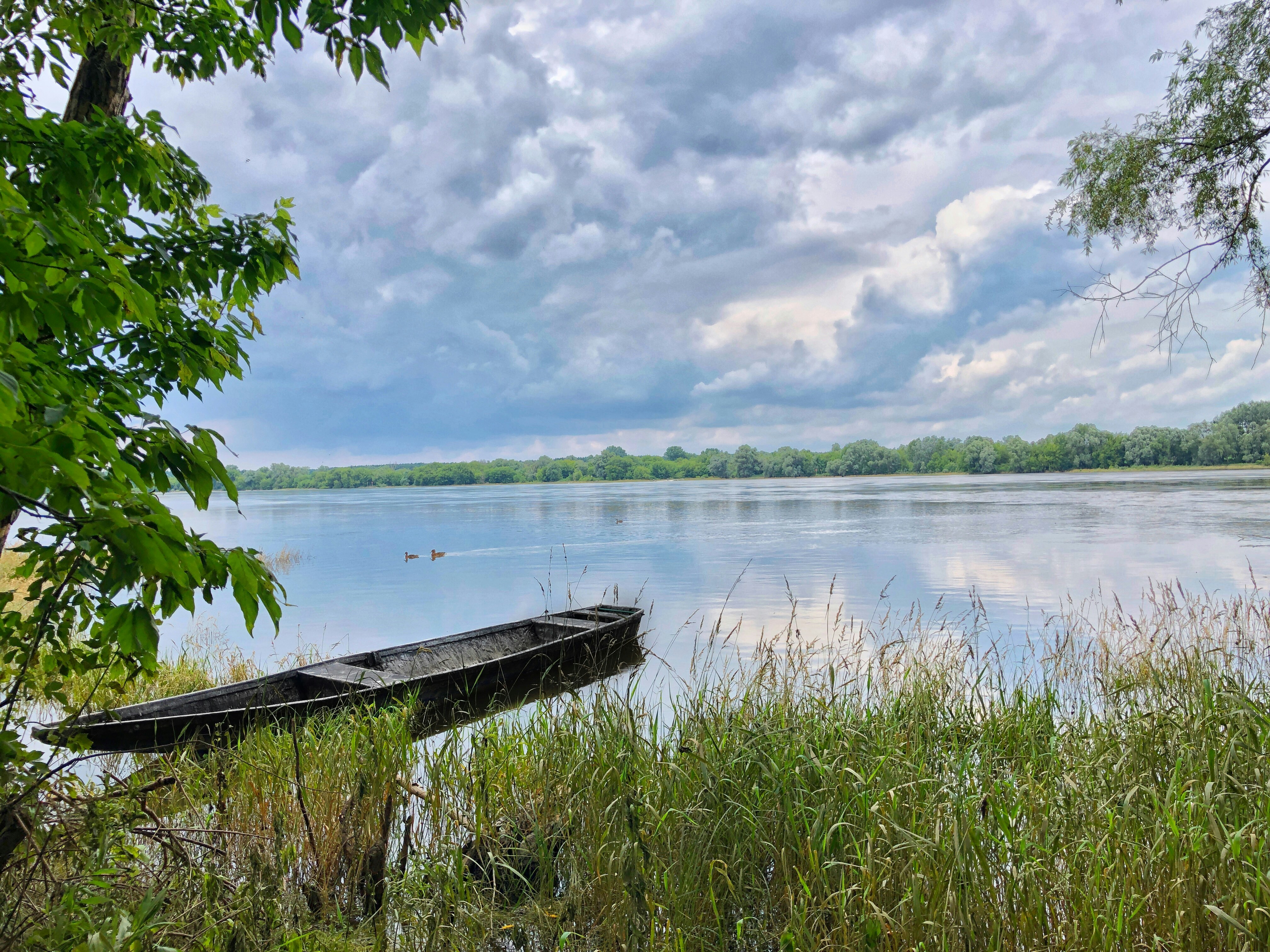Old wooden boat resting among reeds by a calm lake under a cloudy sky.