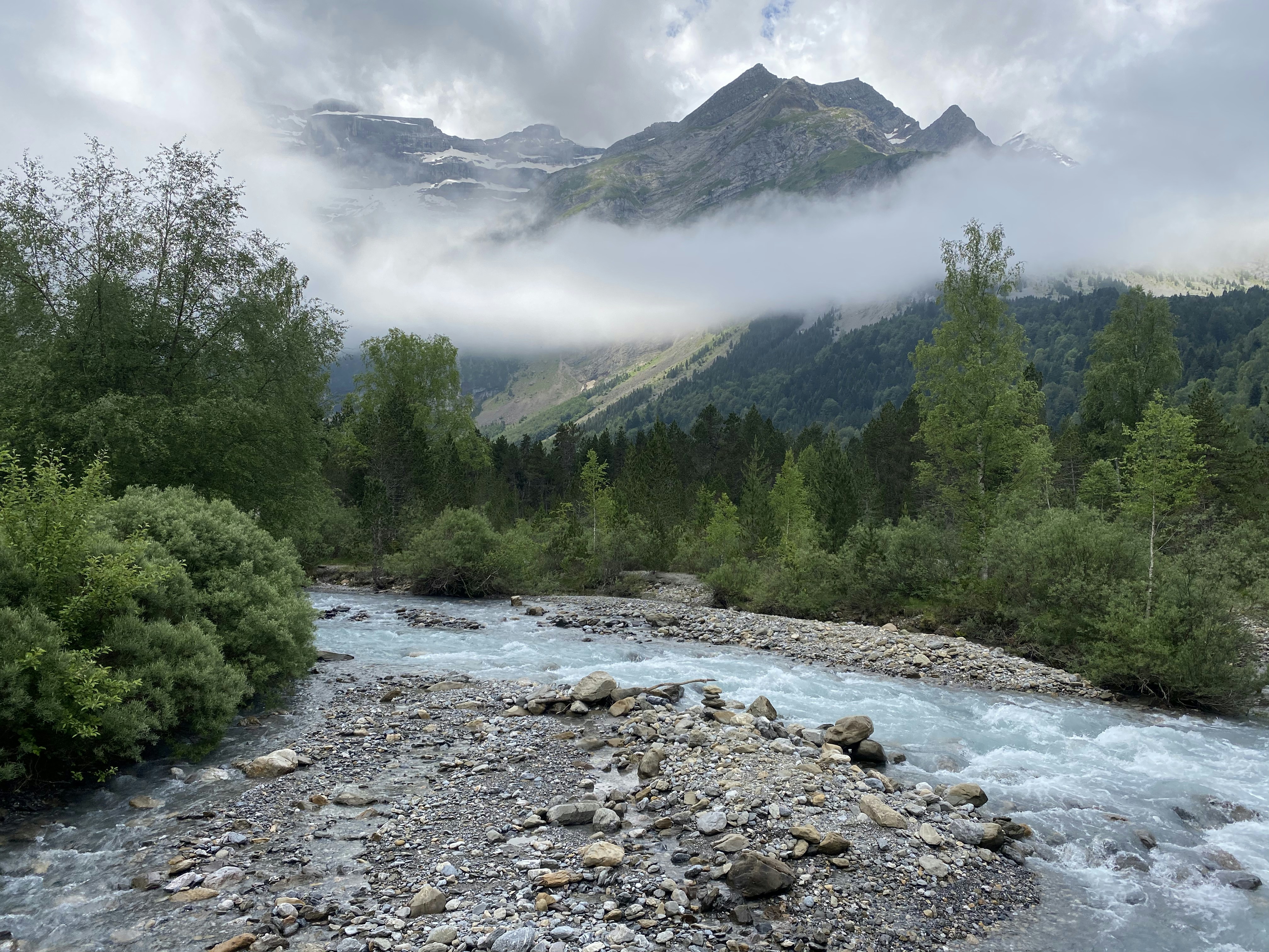 Green trees near river under white clouds during daytime photo – Free ...