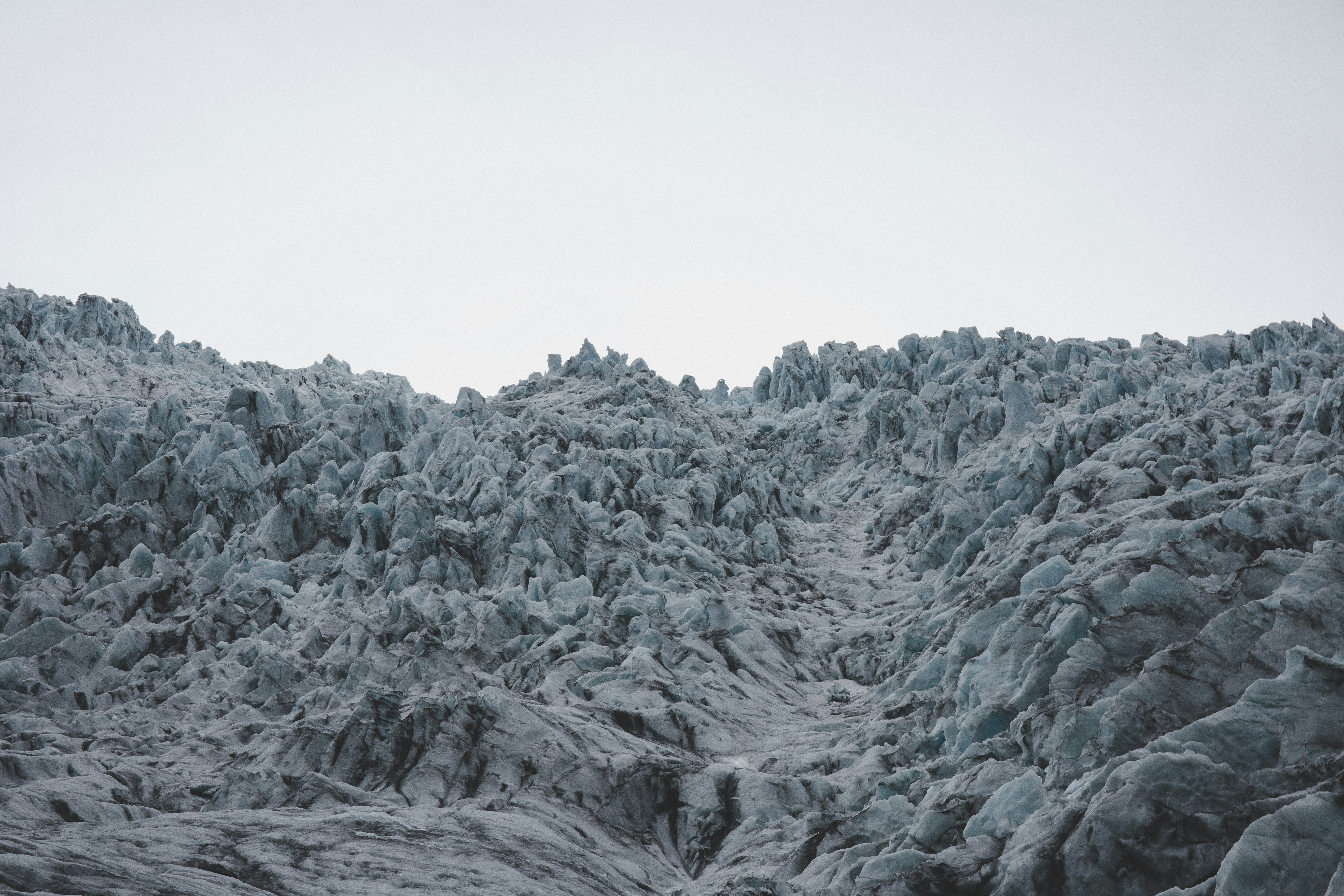 snow covered trees during daytime