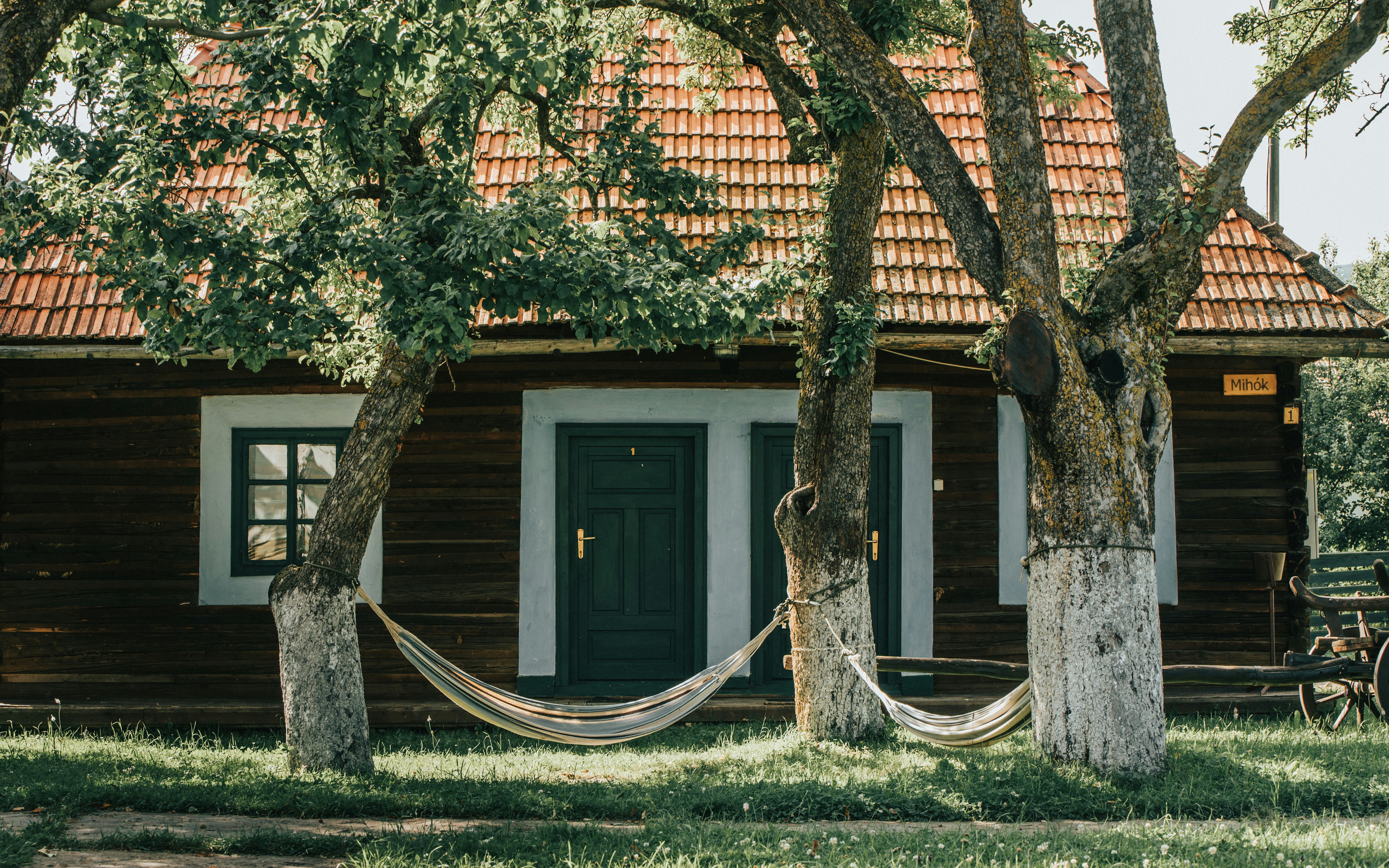 Rustic Retreat: Serenity Among the Trees