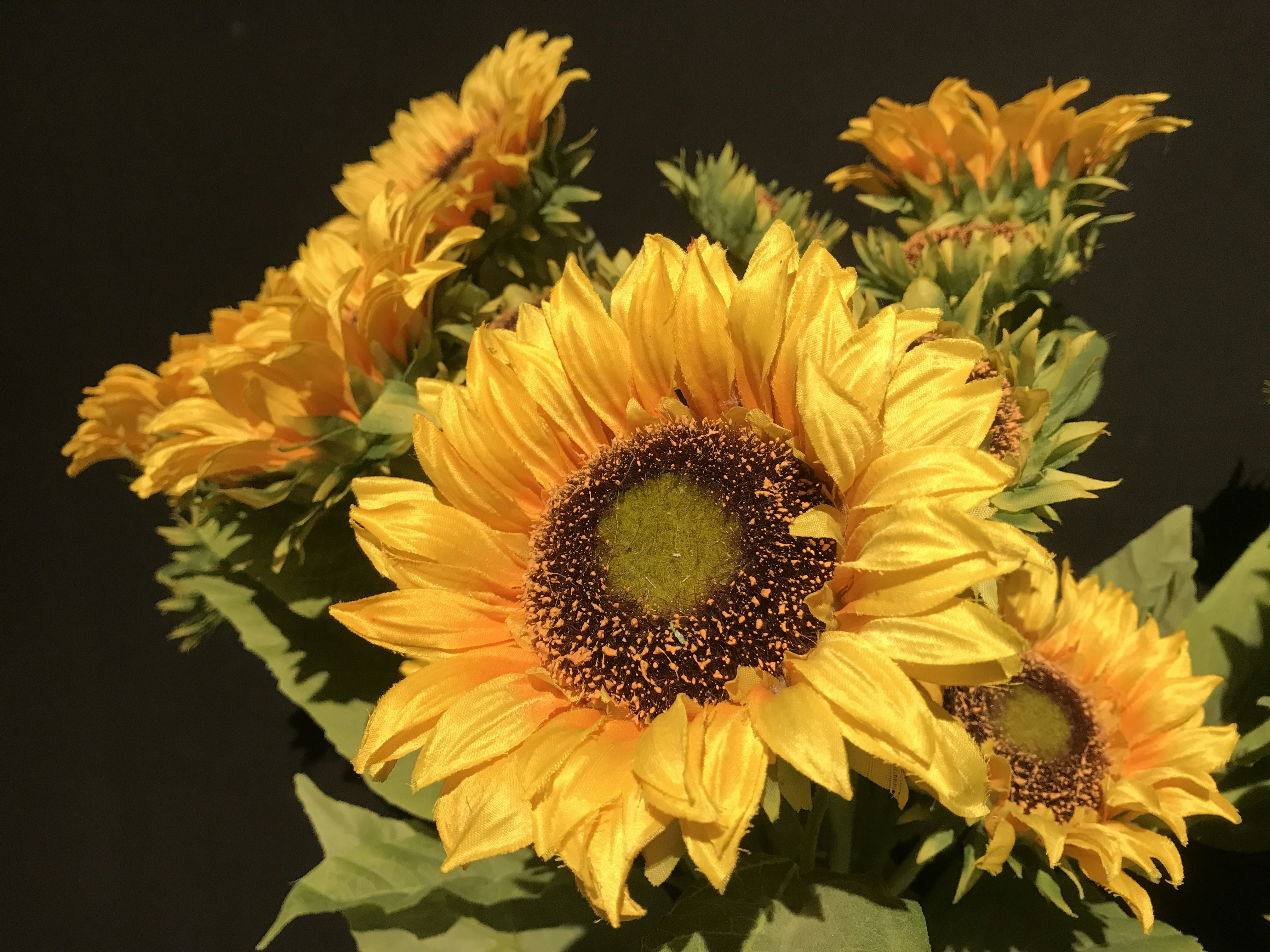 Plastic sunflower displayed at Van Gogh digital exhibition in Bangkok, Thailand 