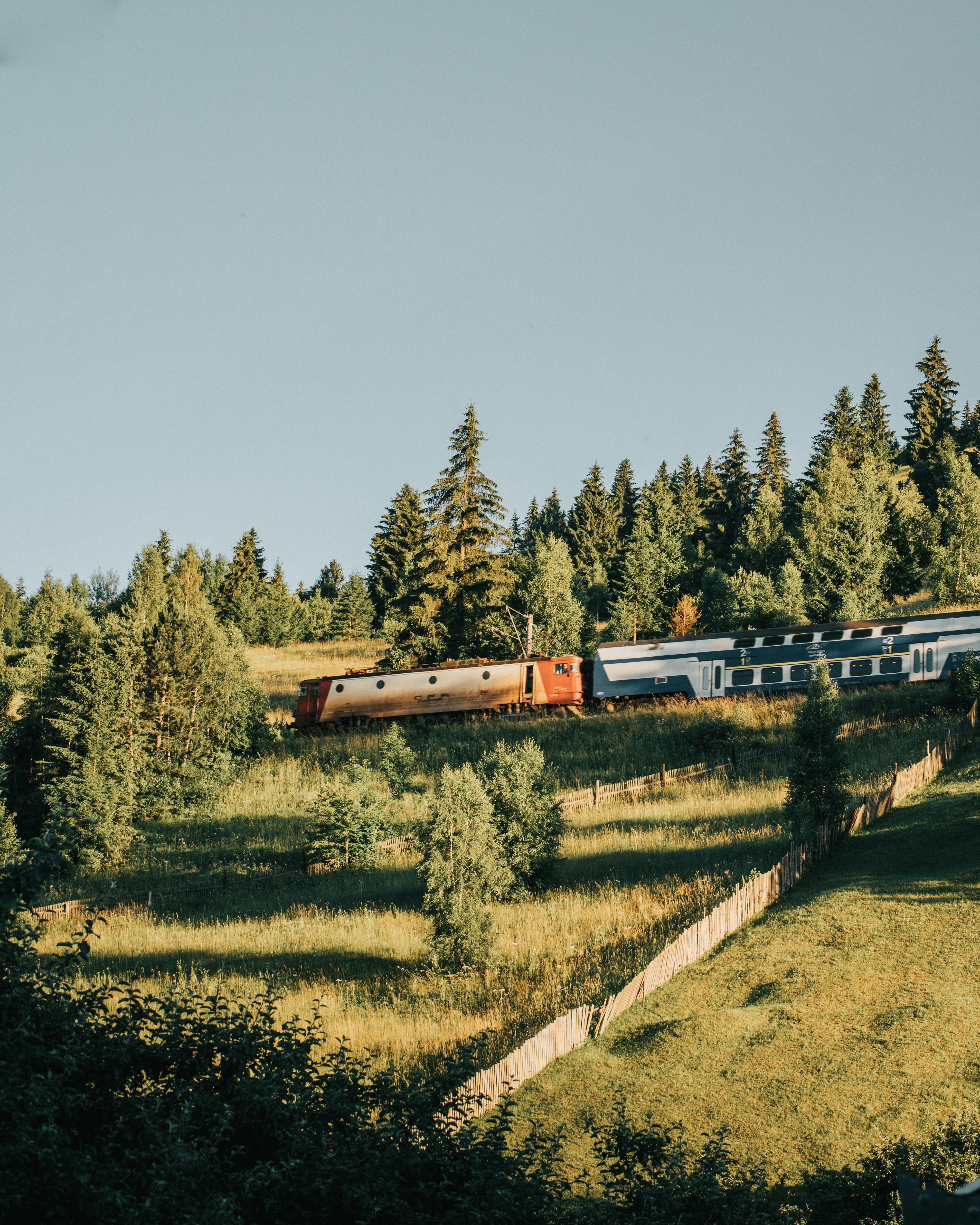 Brown and white train on rail tracks near green trees during daytime ...
