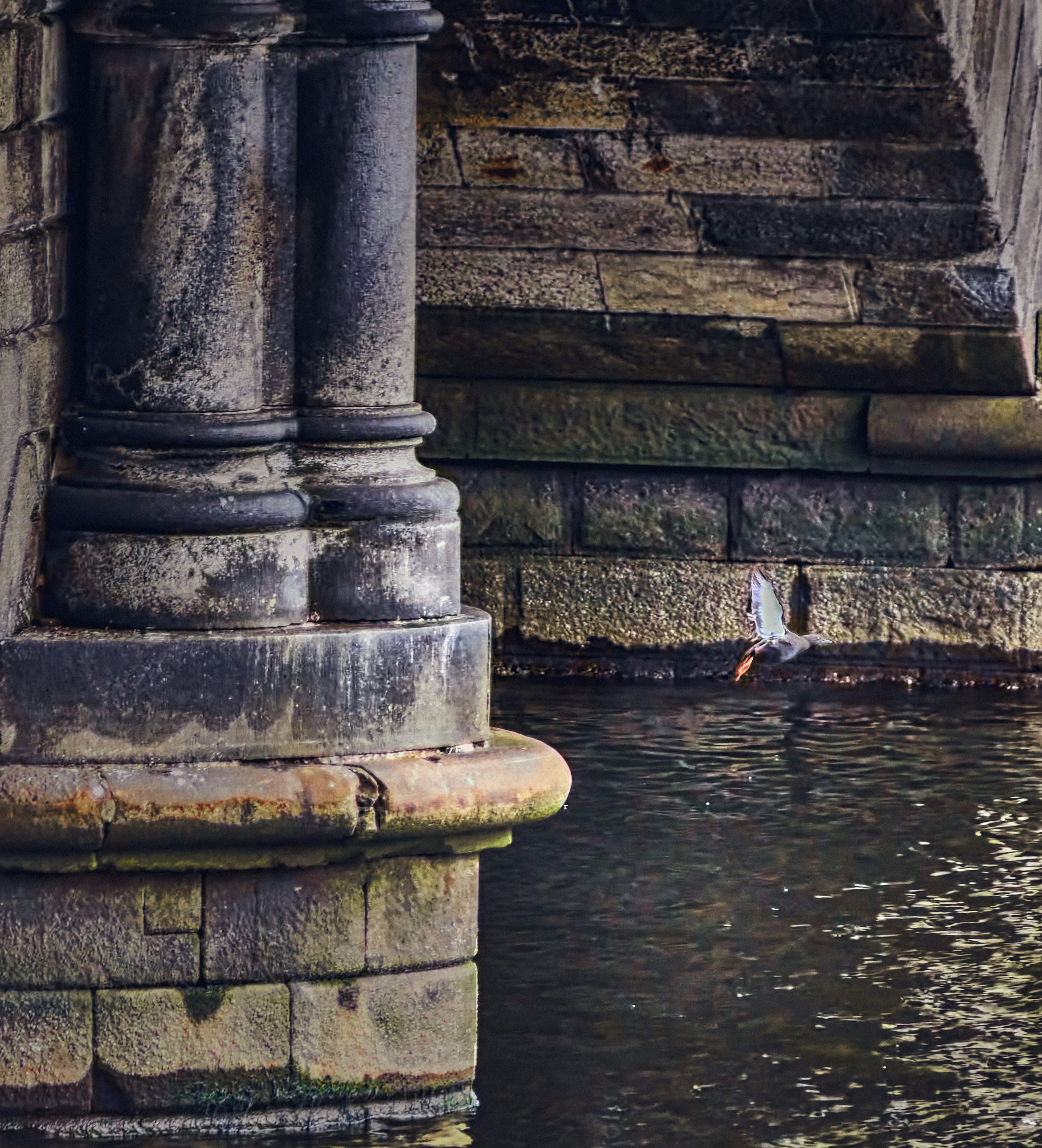 Weathered stone columns support an ancient bridge, reflecting in the tranquil waters below, with a bird in flight nearby.