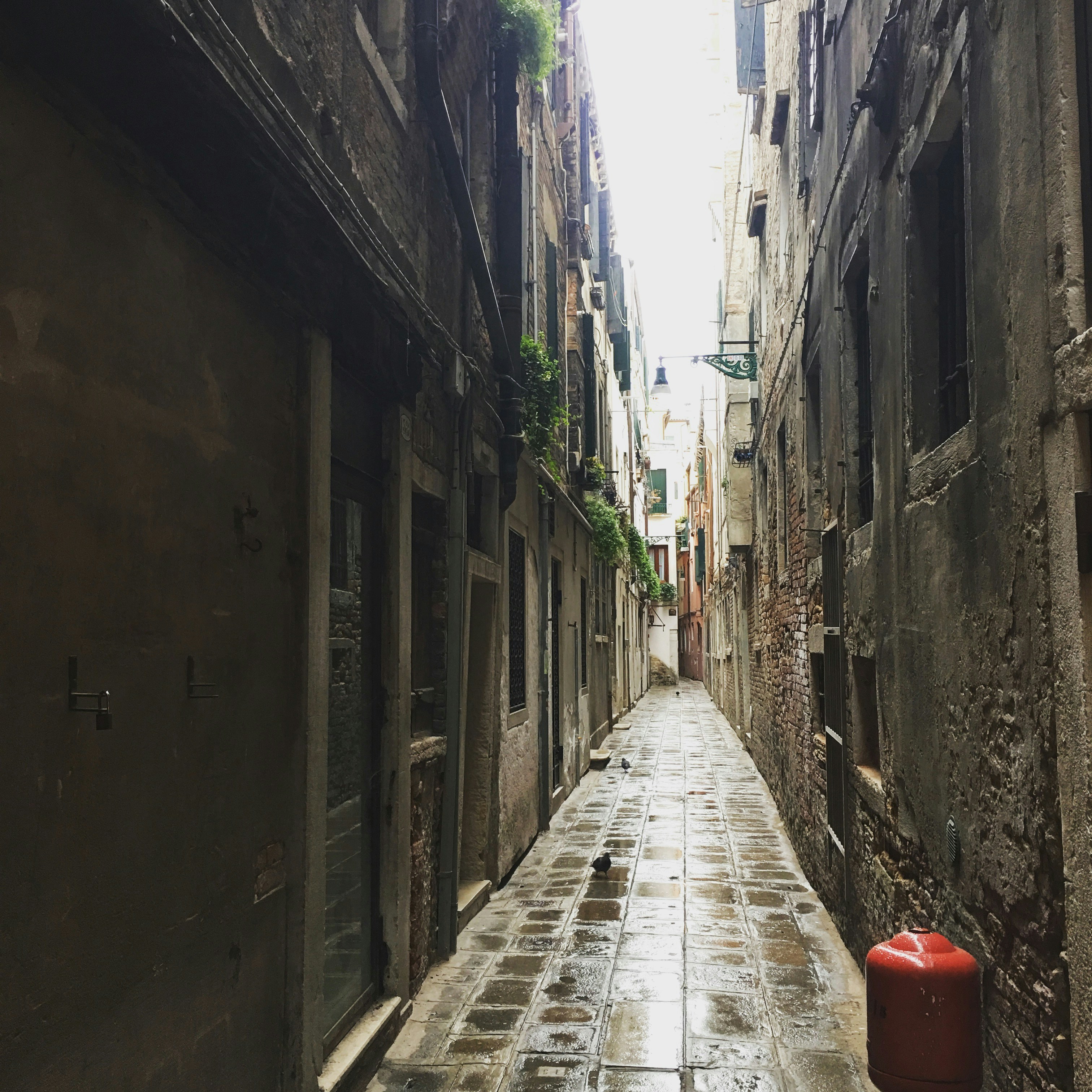 Rachel Gully (@rachelgully) | Komunitas Foto Unsplash