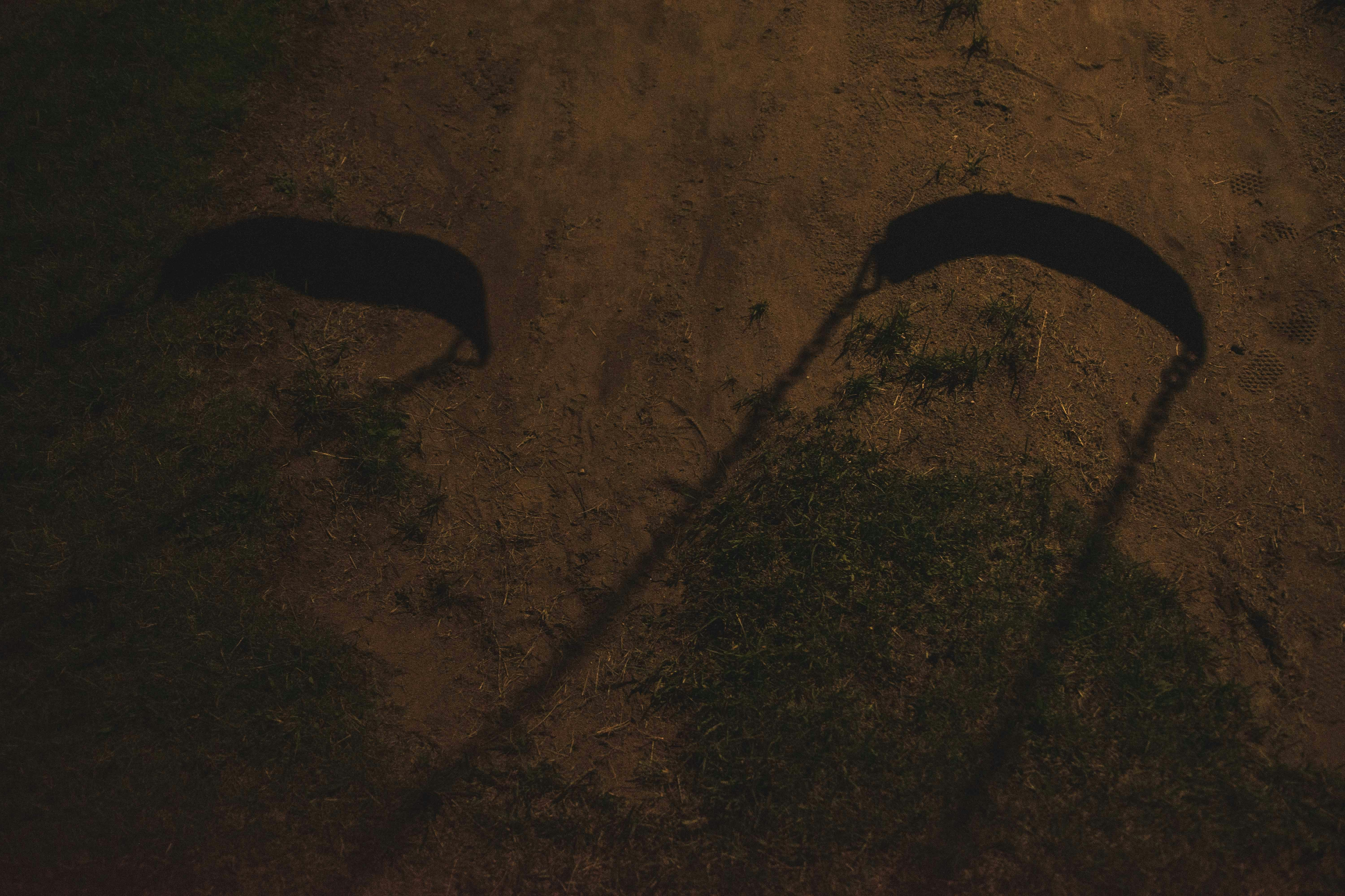 Shadows of two swings cast on a dirt surface under low light, evoking a sense of solitude and reflection.