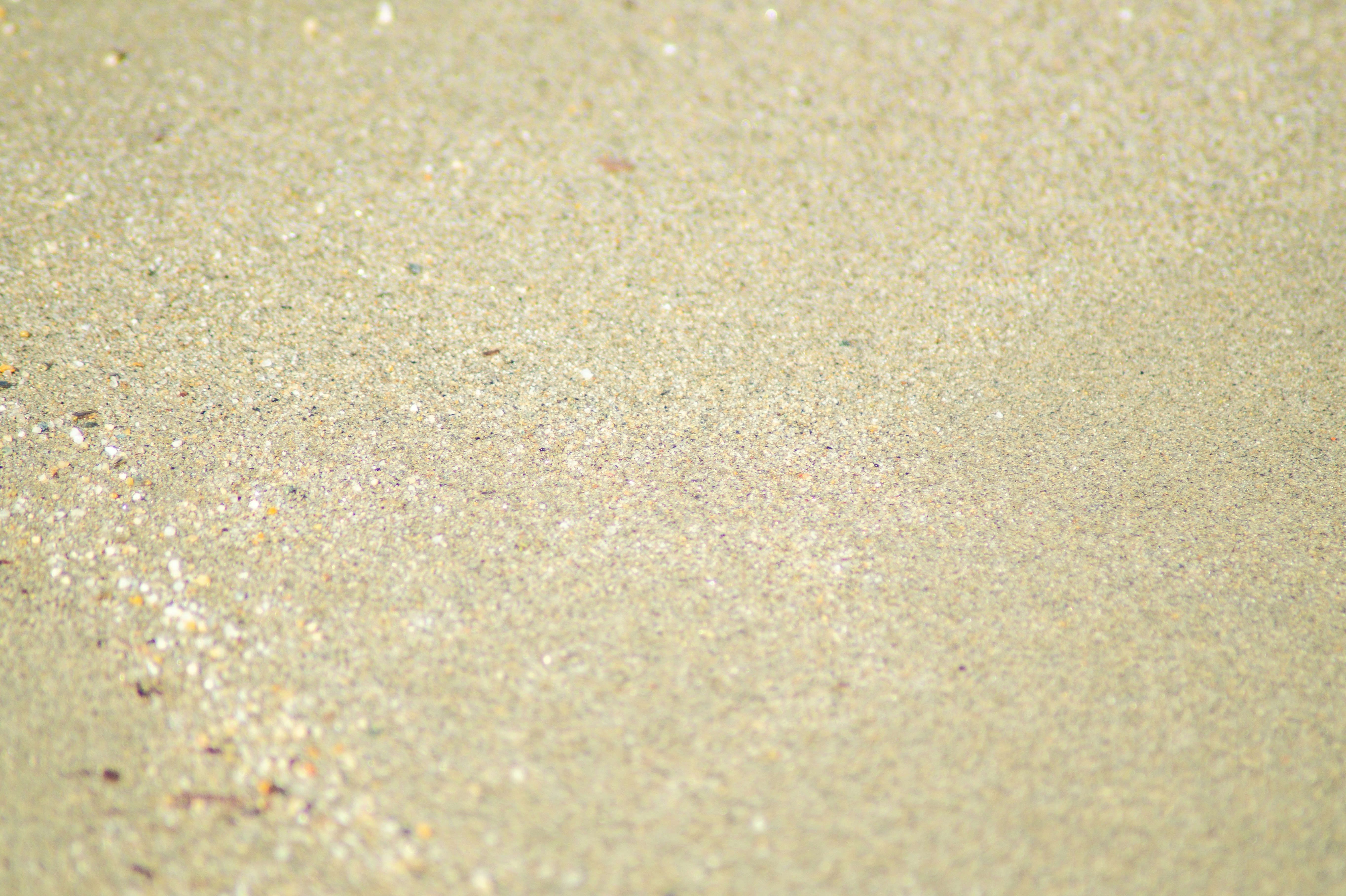 Close-up view of sandy beach texture with glimmering particles reflecting sunlight.
