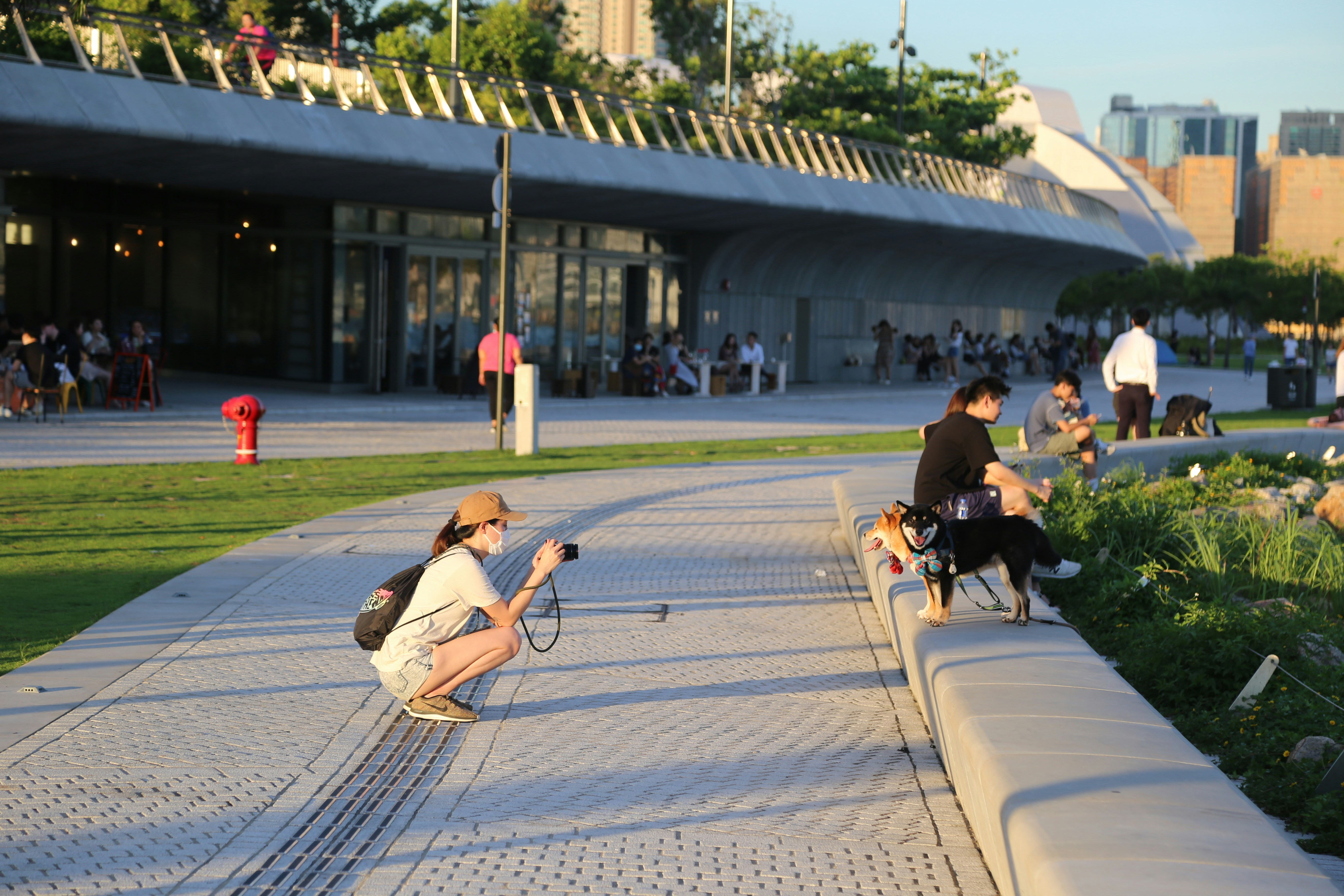 photogenic dogsAkash Rai