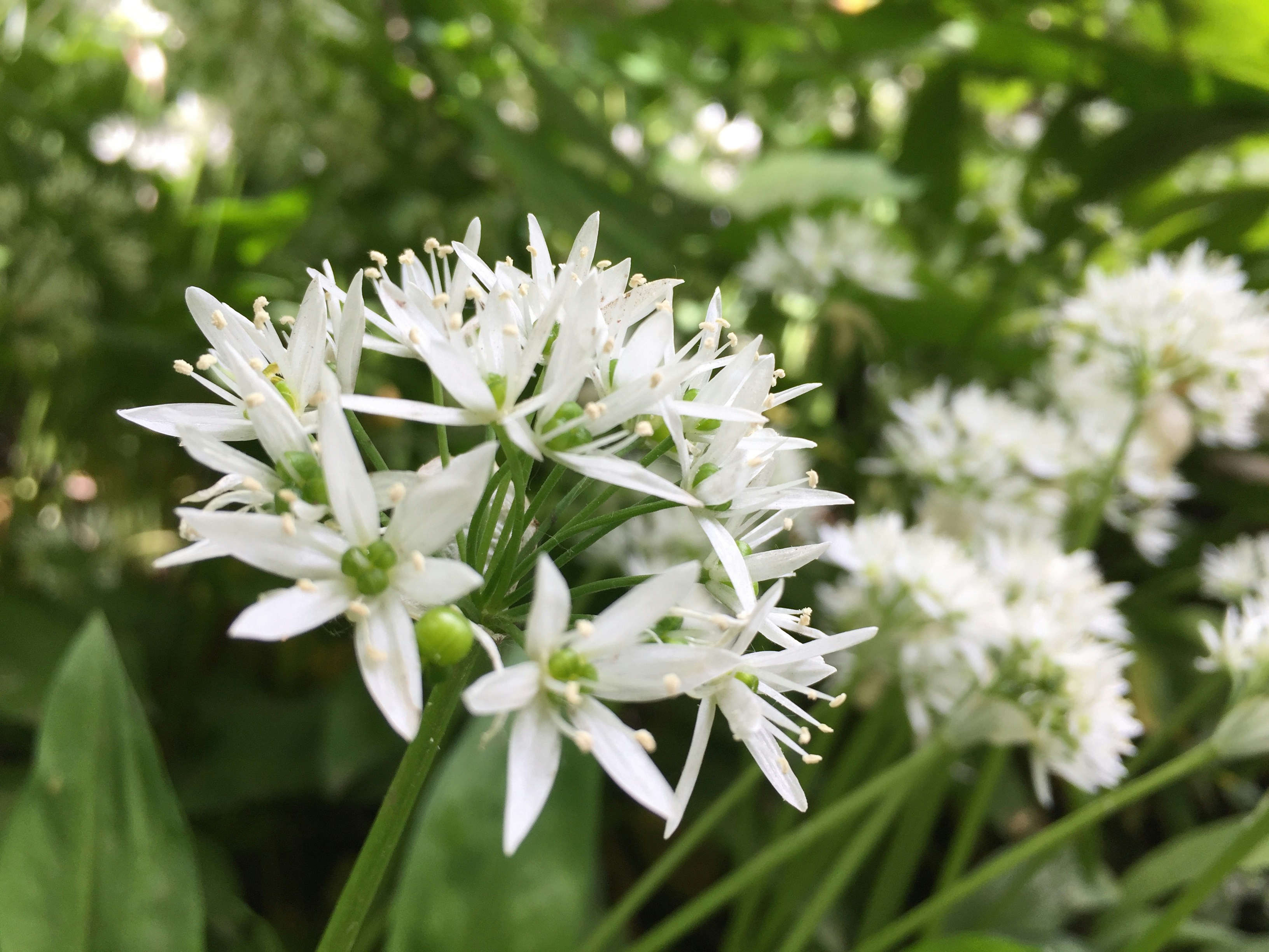 Caleb Chen (@calebchen) | Unsplash Photo Community