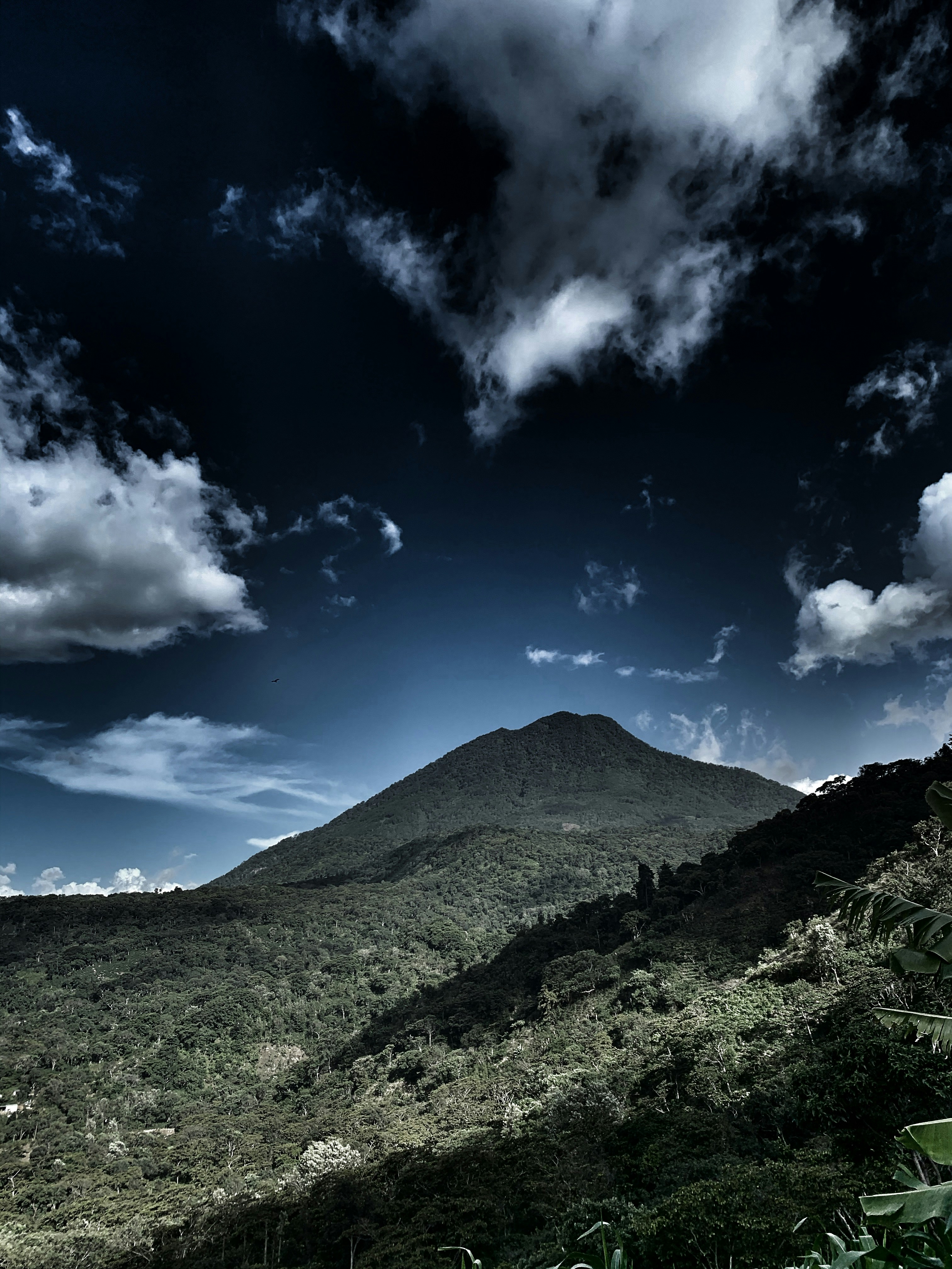 Veil of Shadows: The Mountain's Embrace