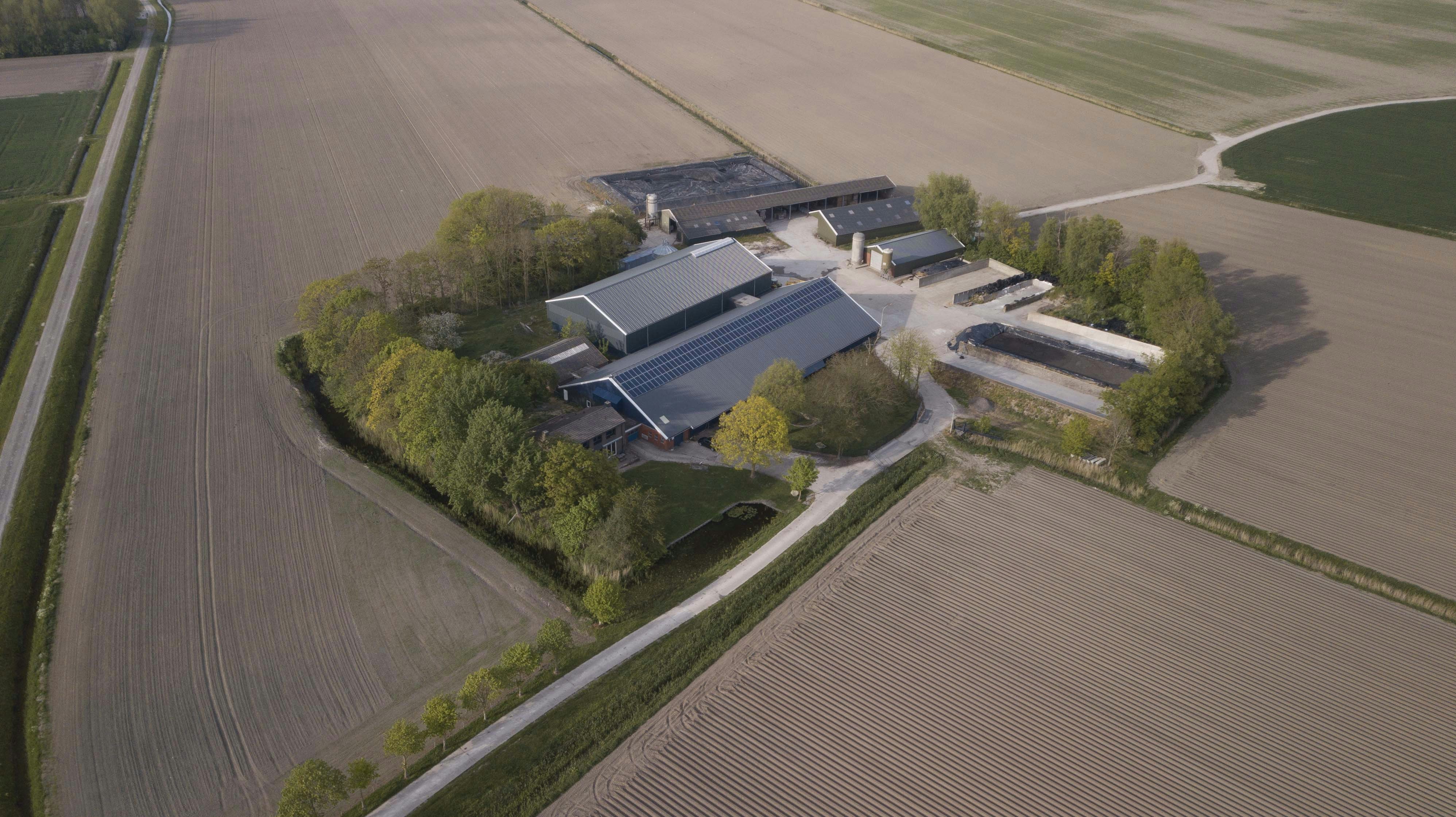 Farmstead Geometry: A Drone’s Eye View of Barns Nestled in Cropland