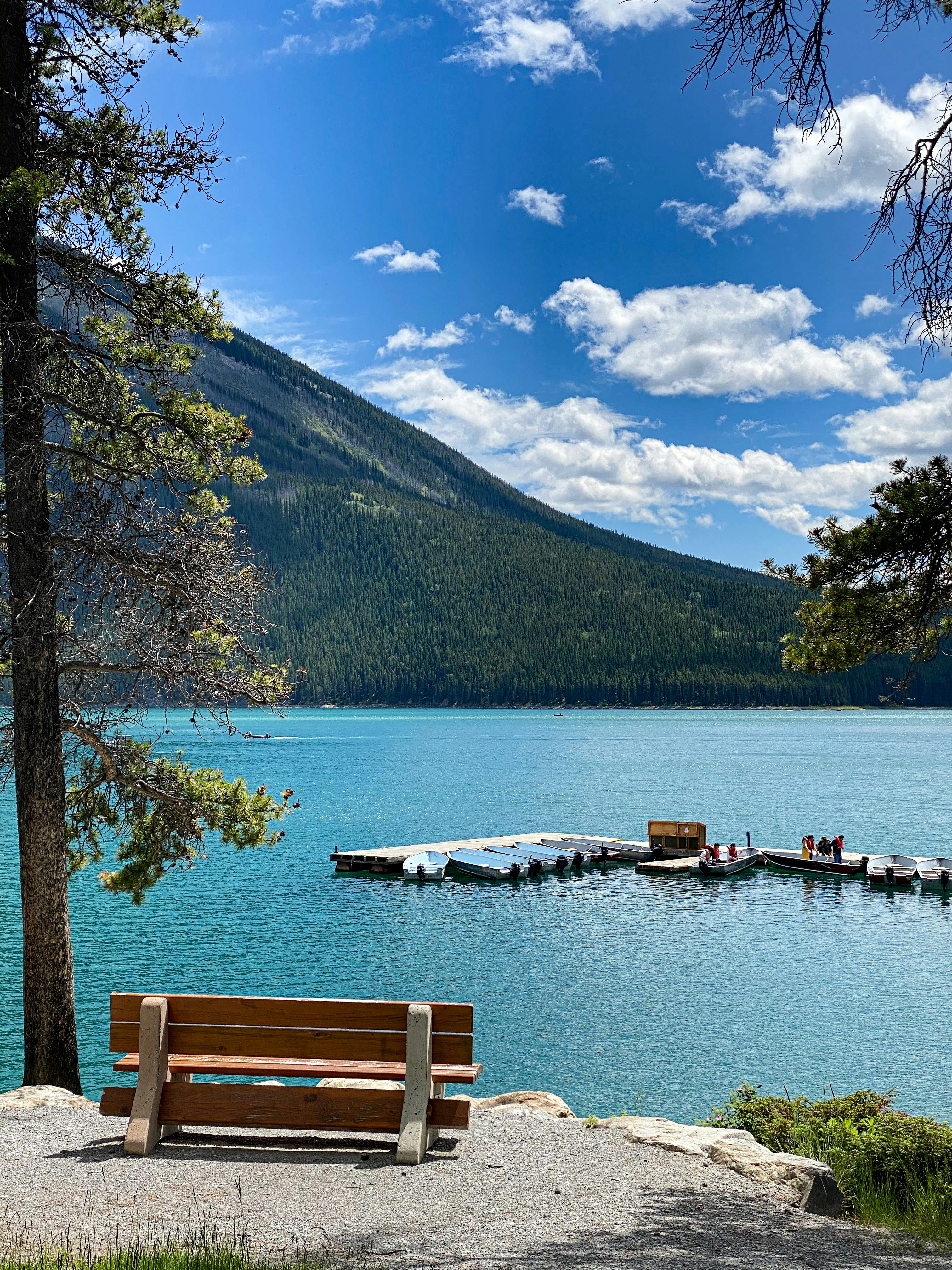brown wooden bench near body of water during daytime