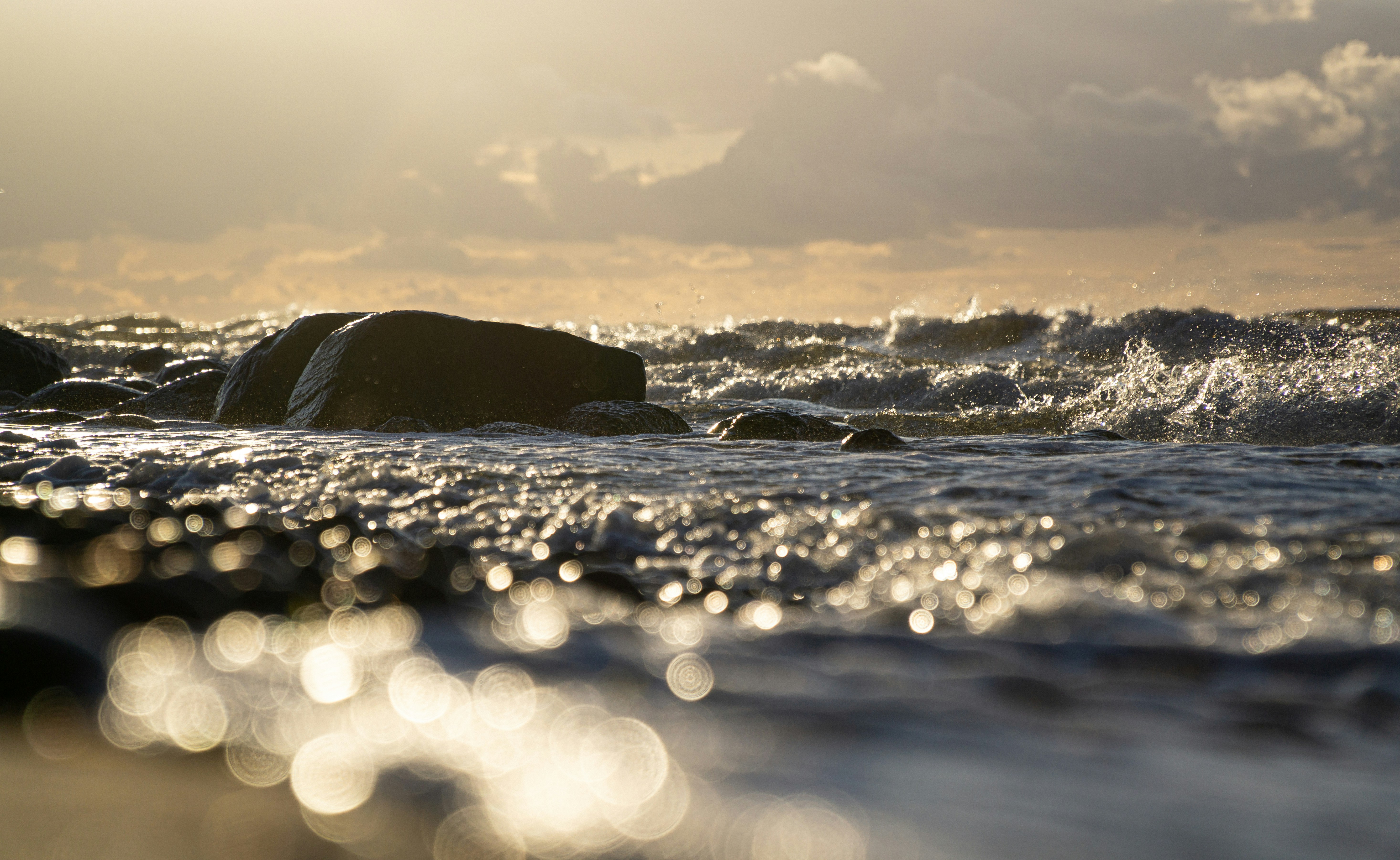 Dawn's Edge: Rocks Reaching Through a Glinting Sea