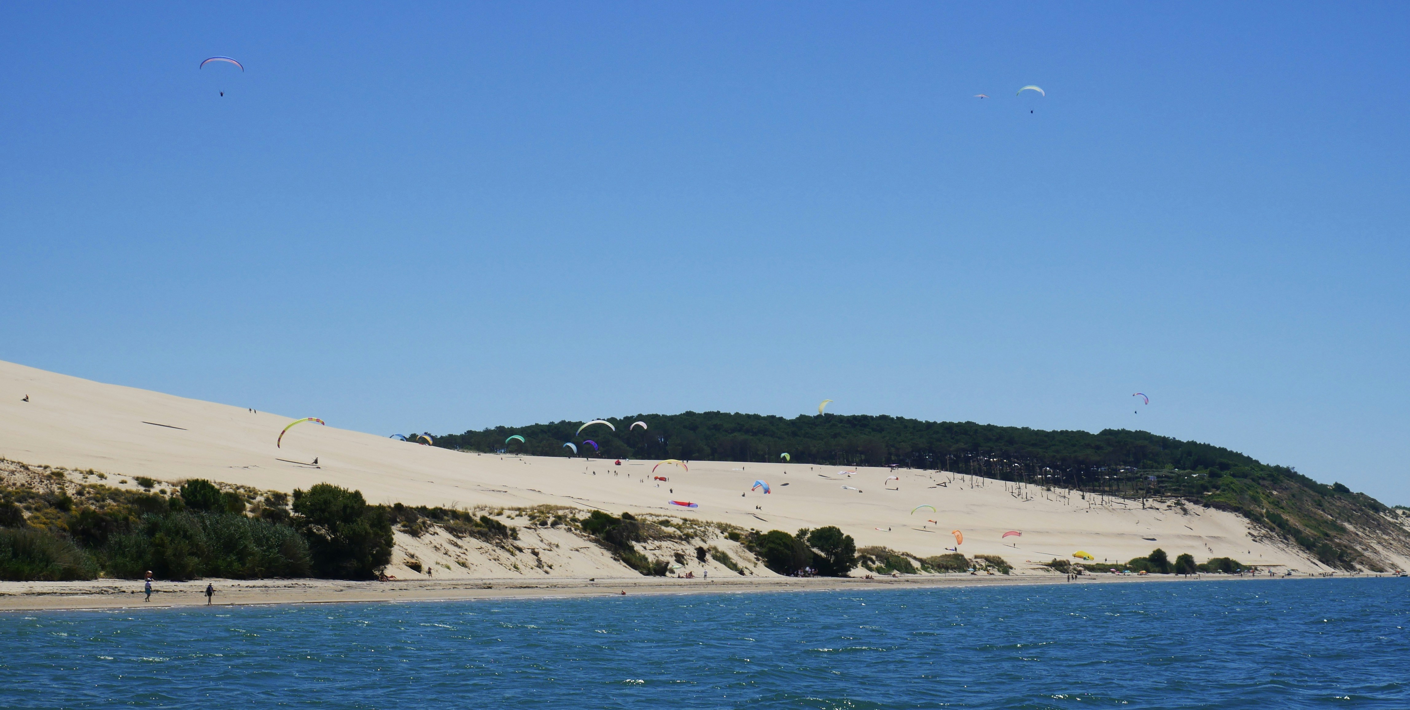 Paraglider soaring above La Dune du Pyla with a clear blue sky and ocean backdrop.