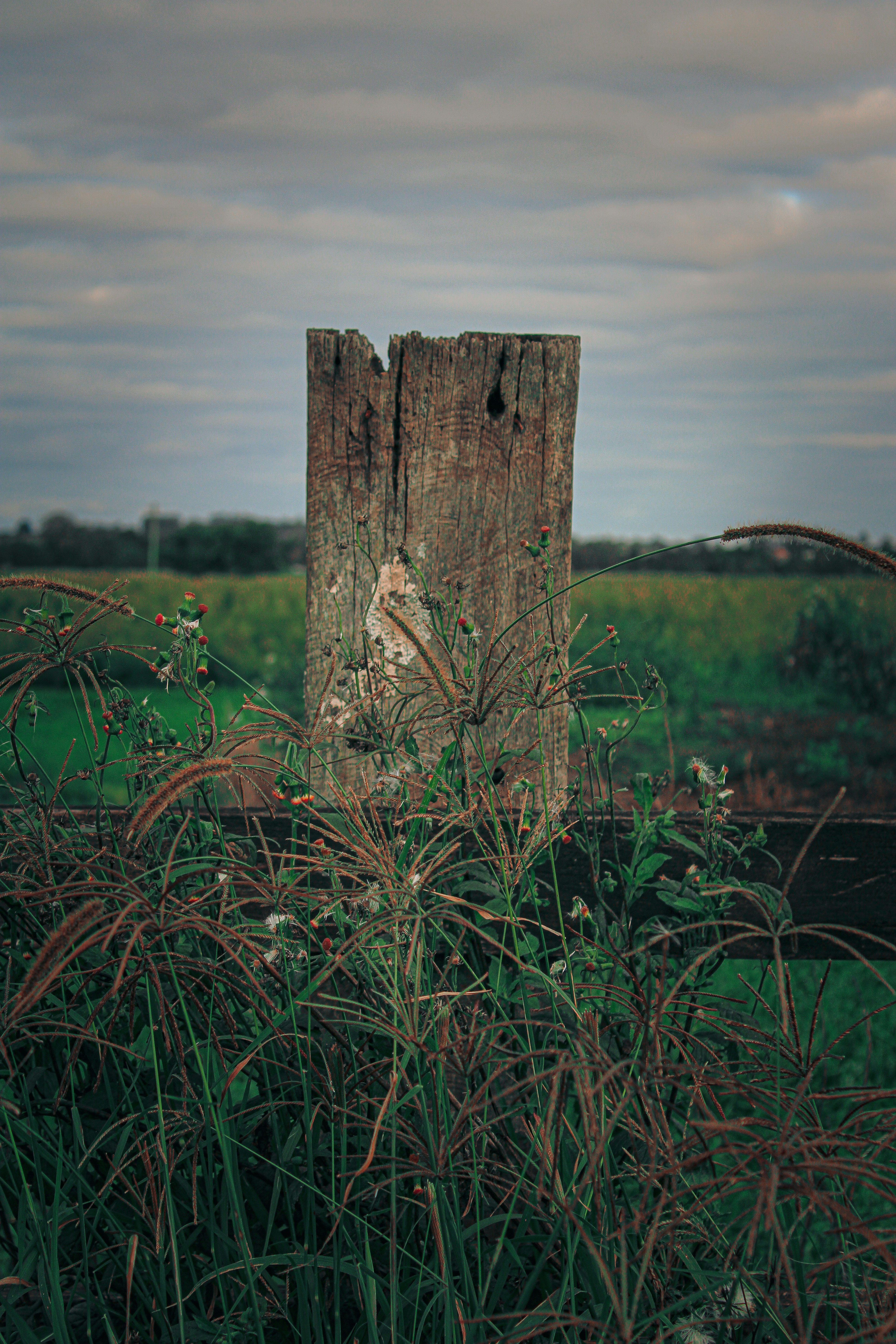 Brown wooden cross on green grass field during daytime photo – Free ...