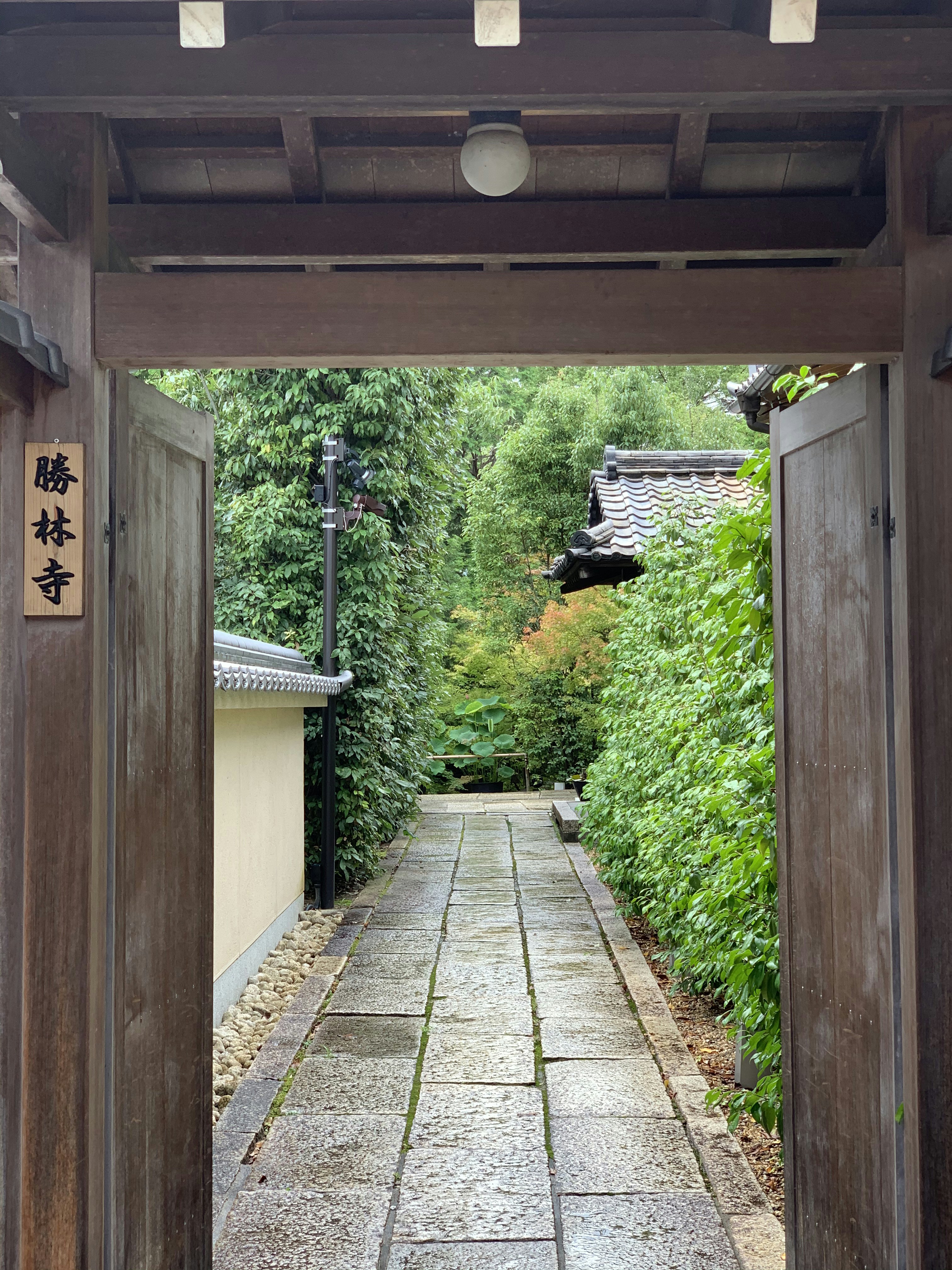 brown wooden pathway between green plants during daytime