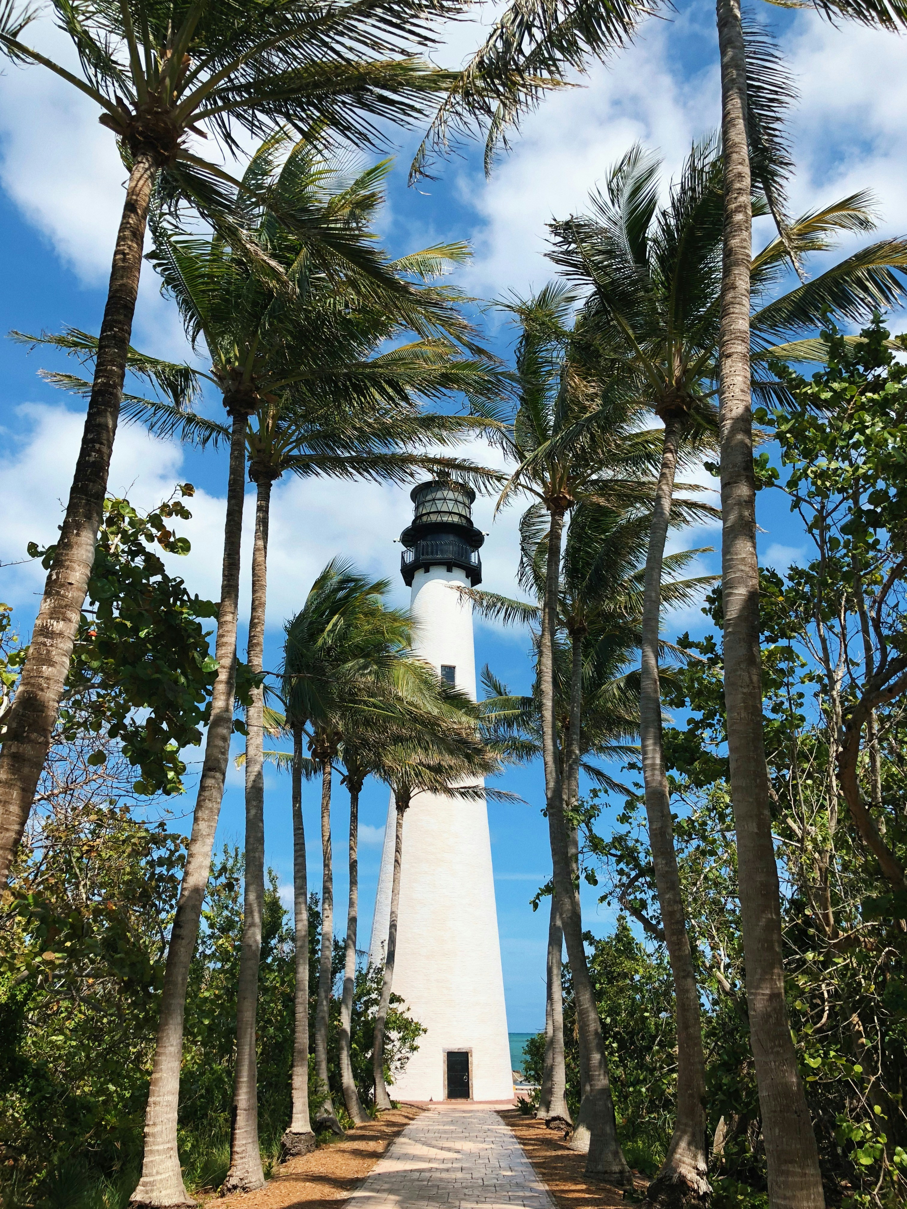 A lighthouse stands tall, framed by swaying palm trees under a bright blue sky, guiding mariners along the coast.