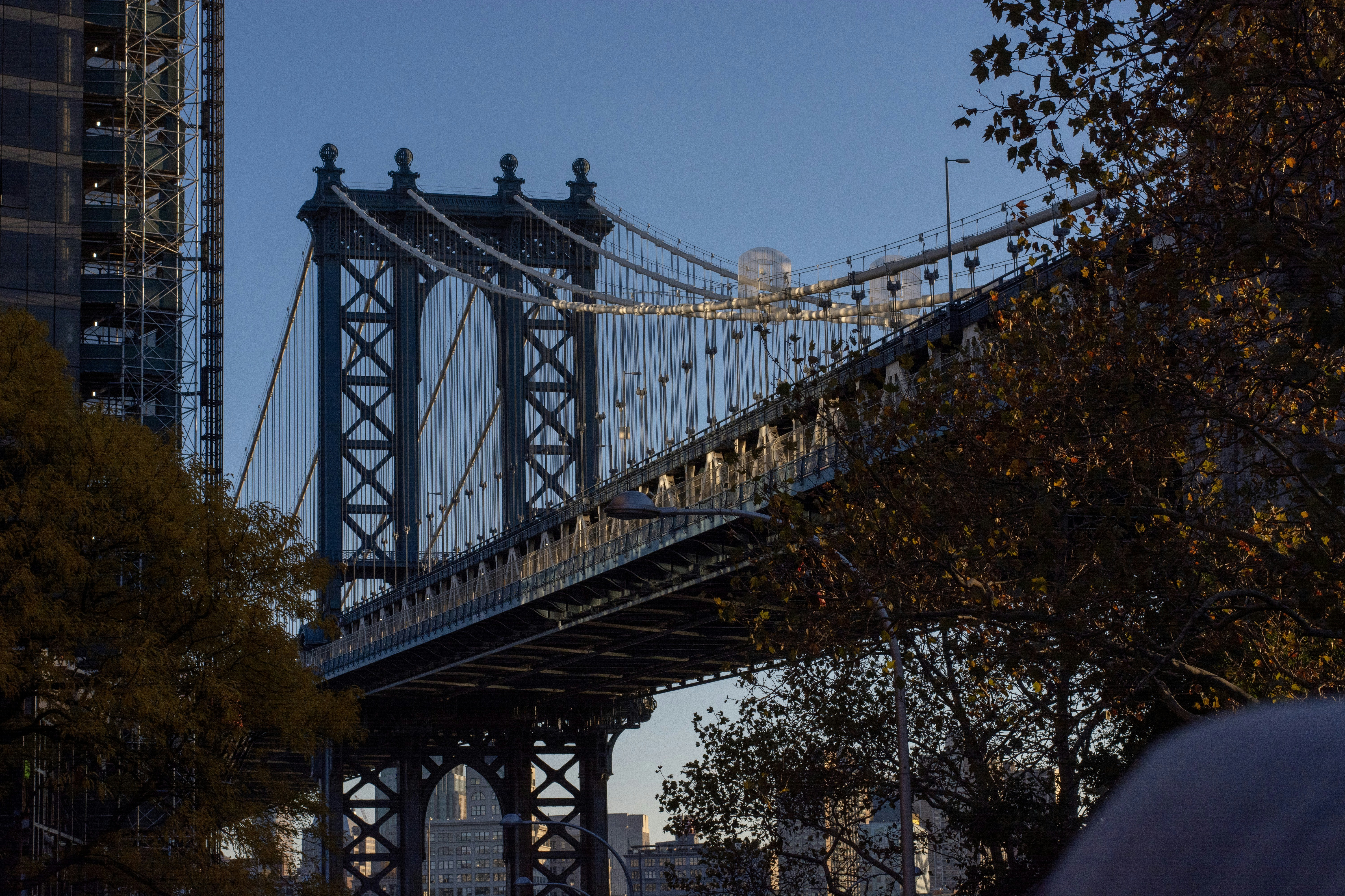 The Manhattan Bridge stands majestically against a backdrop of urban architecture and autumn foliage, showcasing the blend of nature and city life.