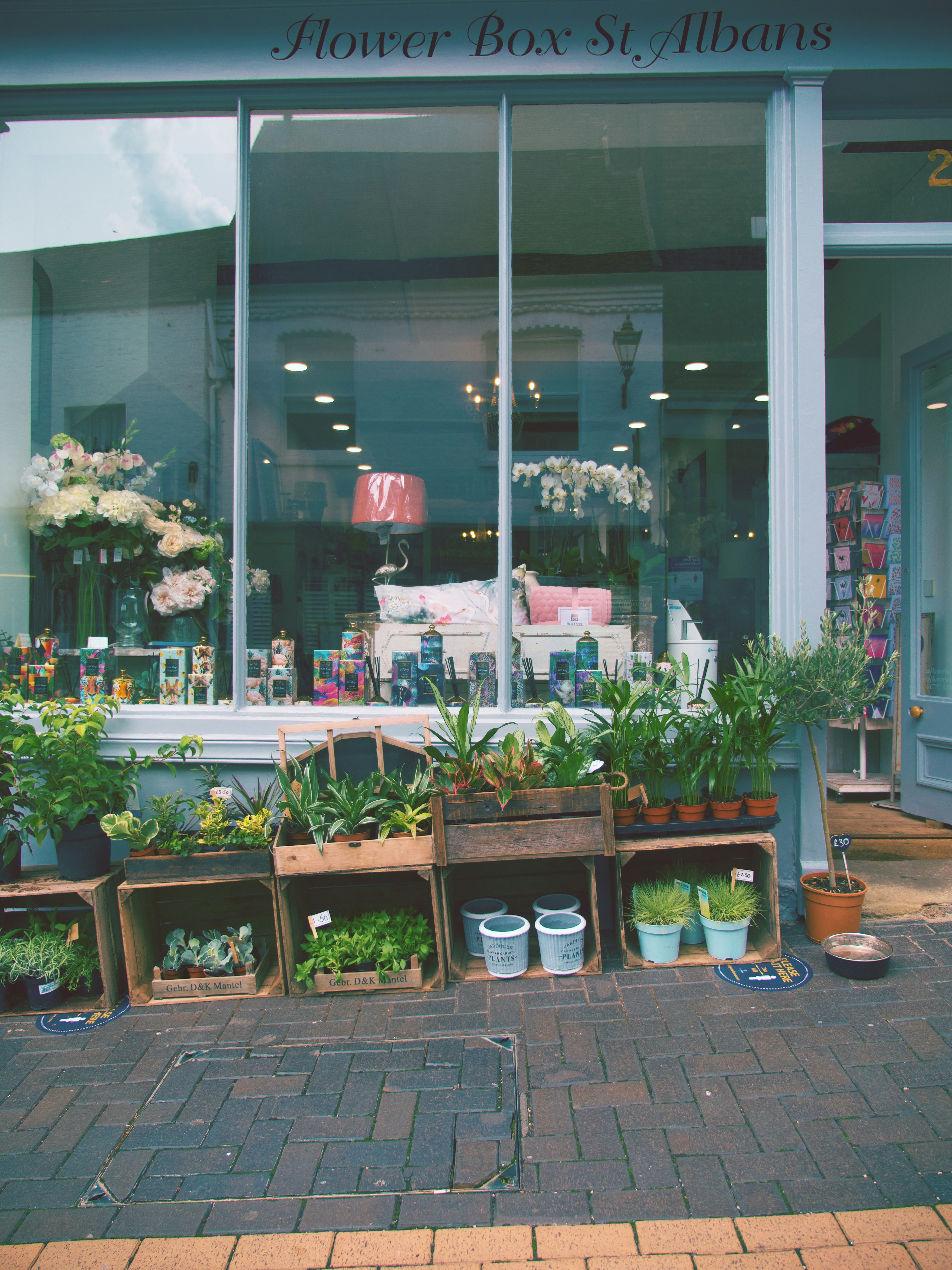 Verdant Streetfront: Plants, Props, and Plush Textiles at Flower Box