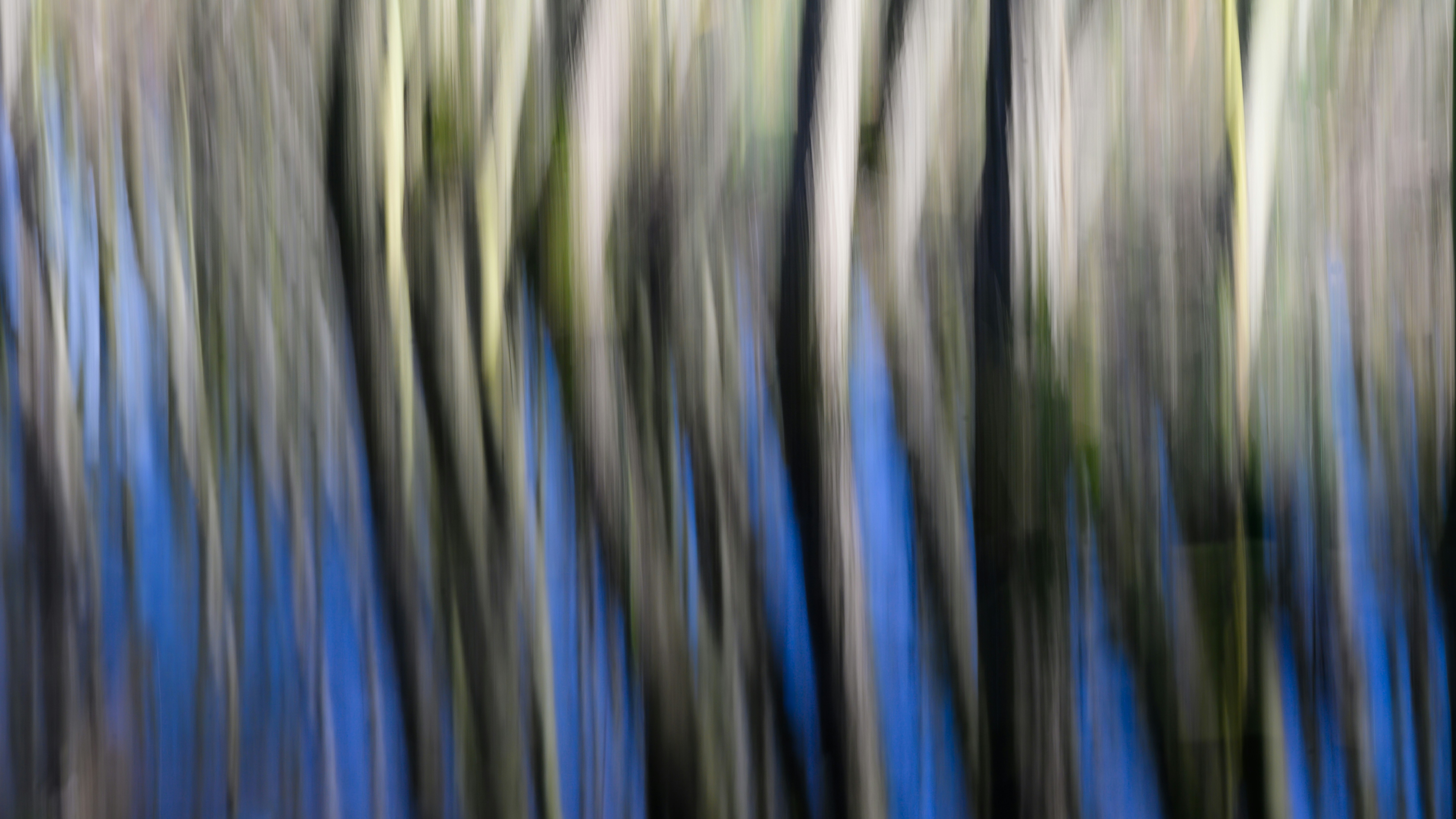 Abstract representation of trees reflected in water, creating a blend of colors and forms. The scene evokes a sense of tranquility and movement.