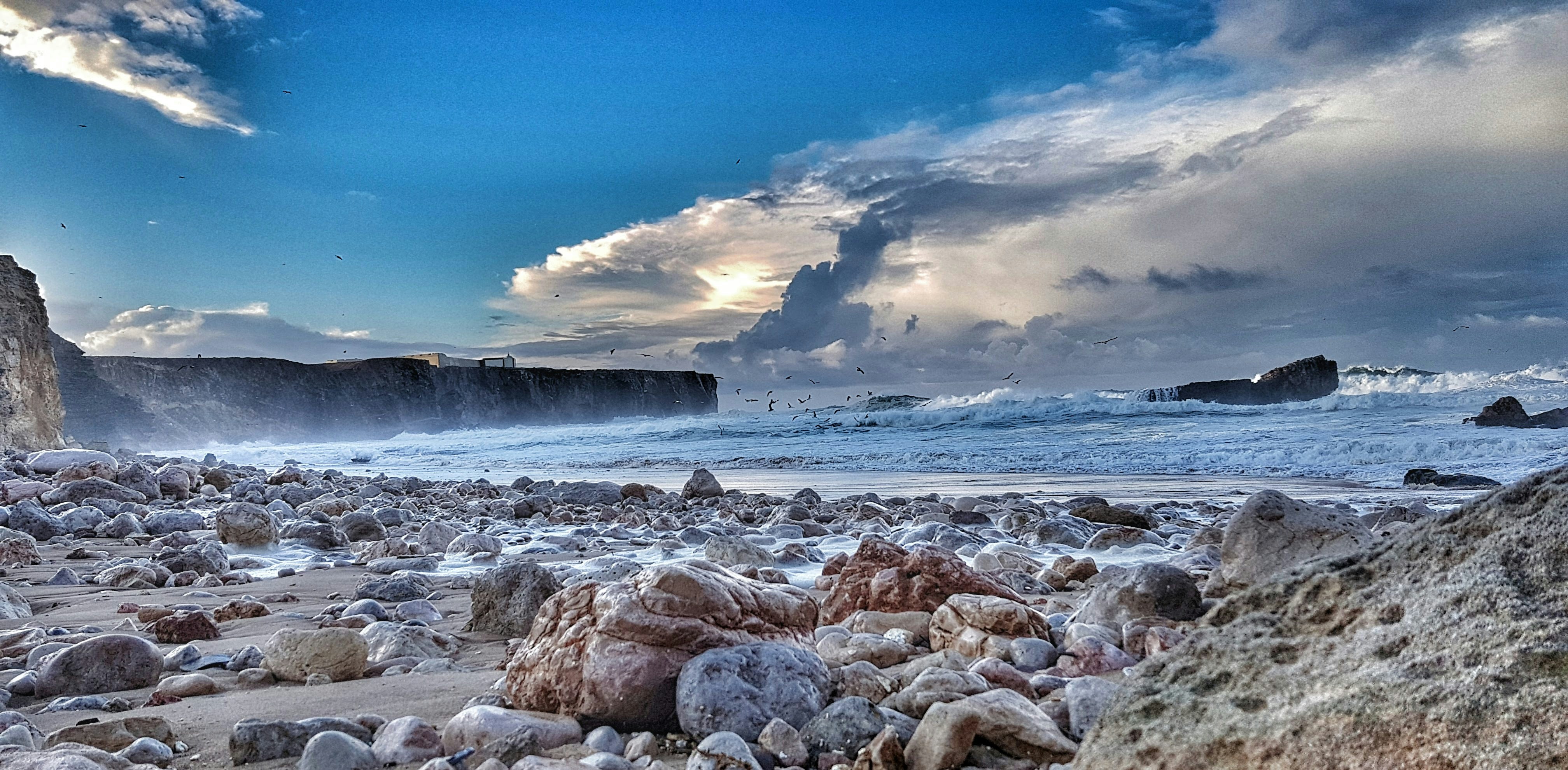 Whispers of the Ocean's Edge