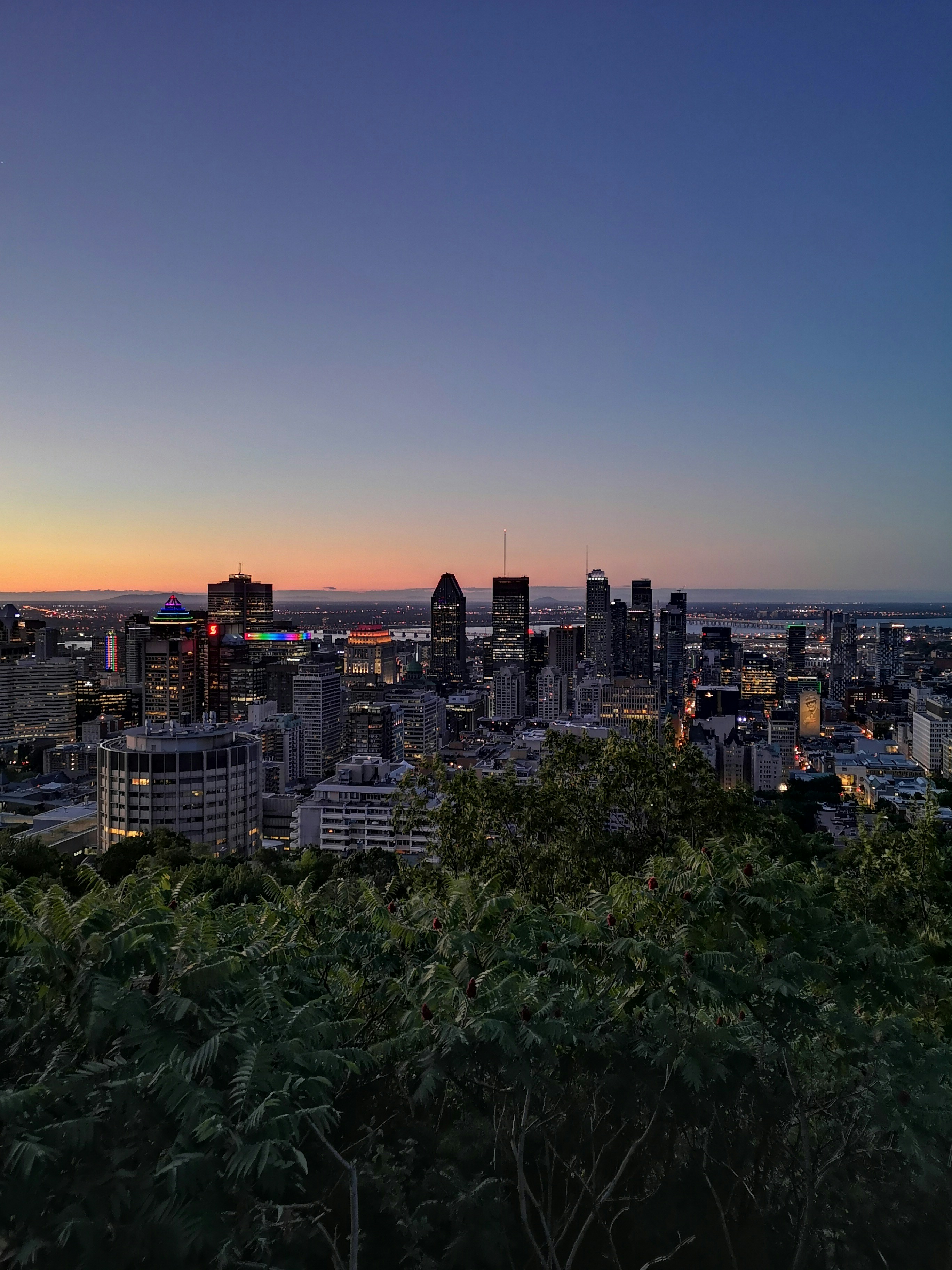 Dusk Over the City: Neon-lit Skyscrapers Against a Gradient Horizon