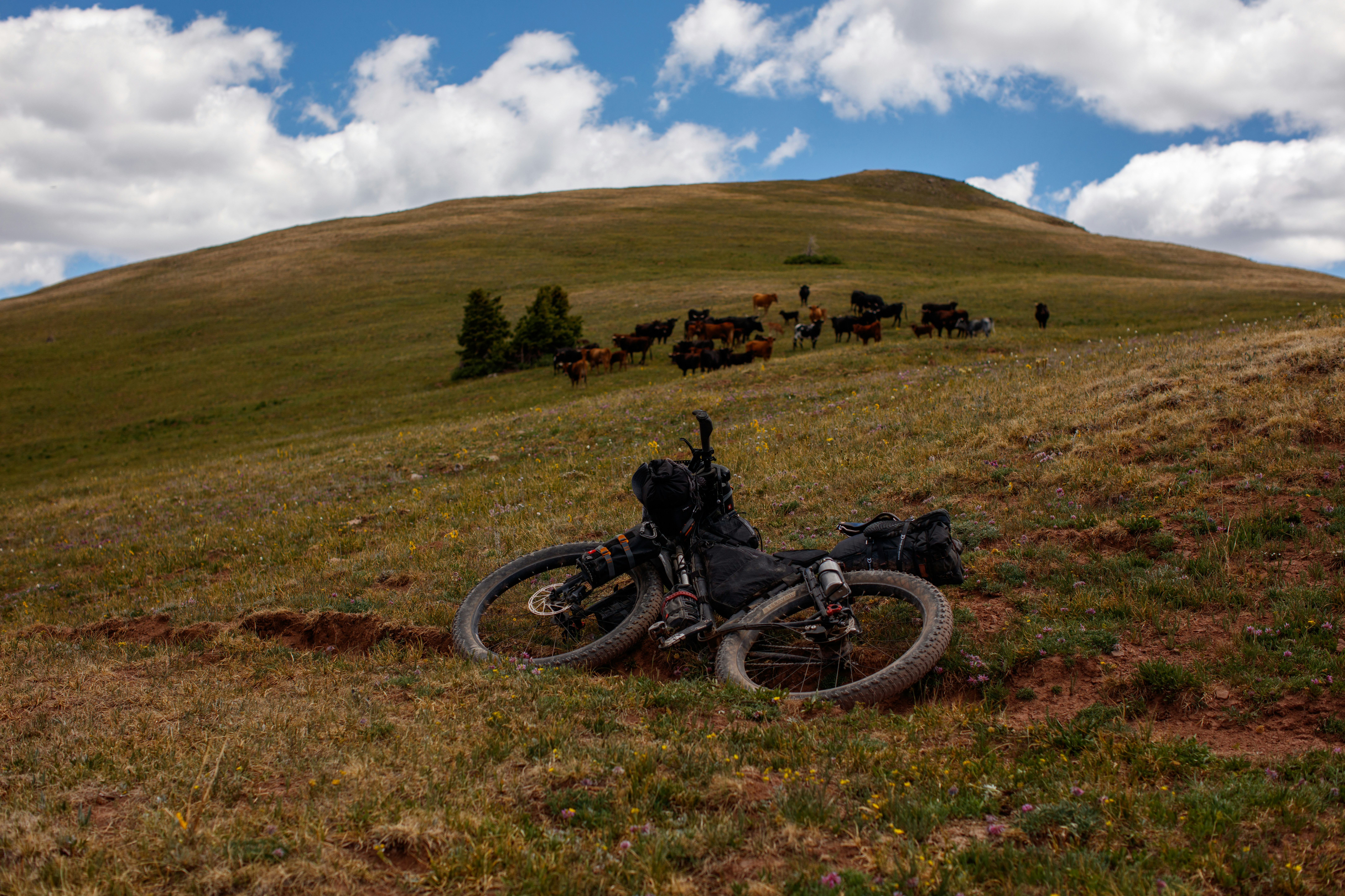 Black motorcycle on green grass field during daytime photo – Free Green ...