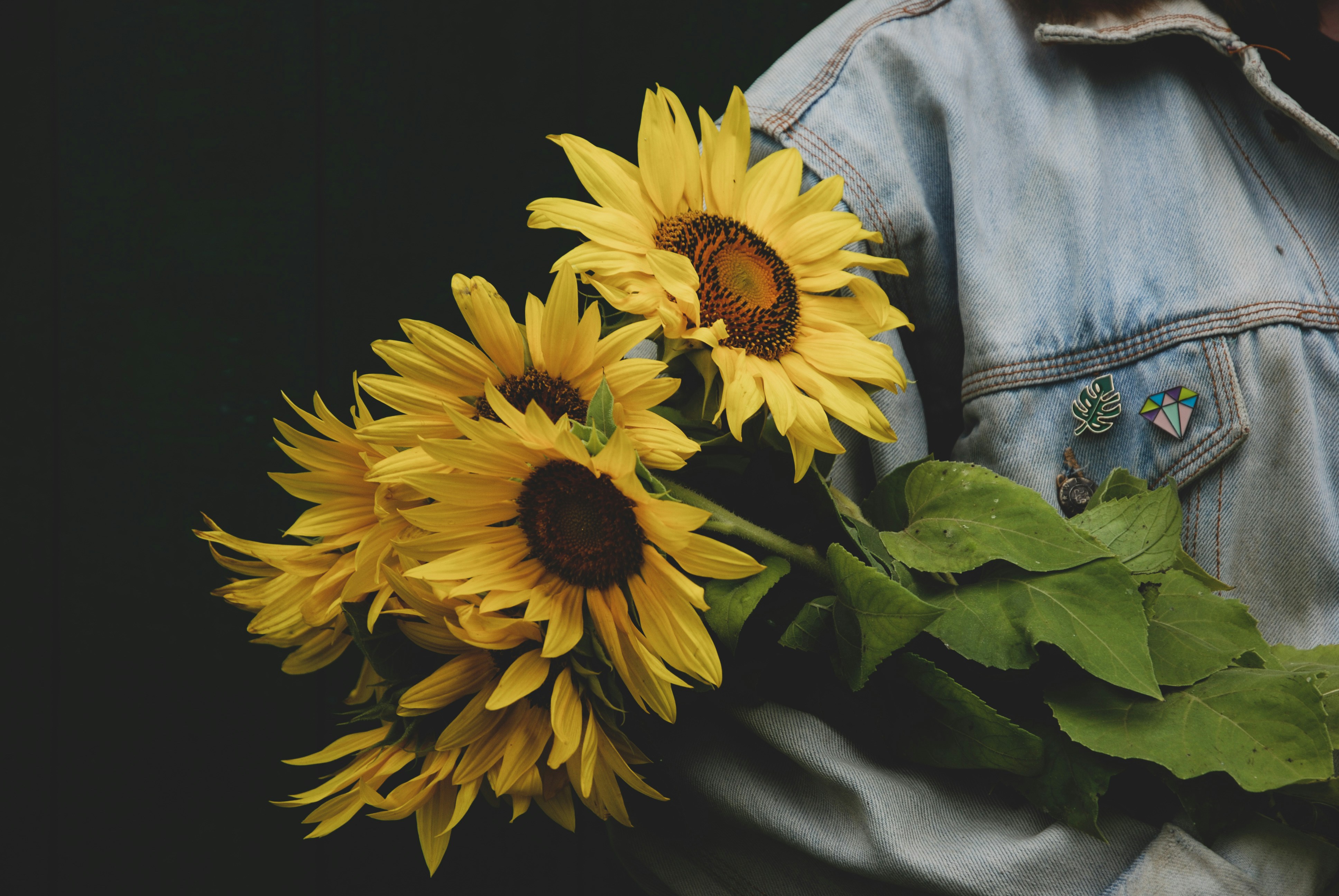 yellow sunflower on blue denim jacket