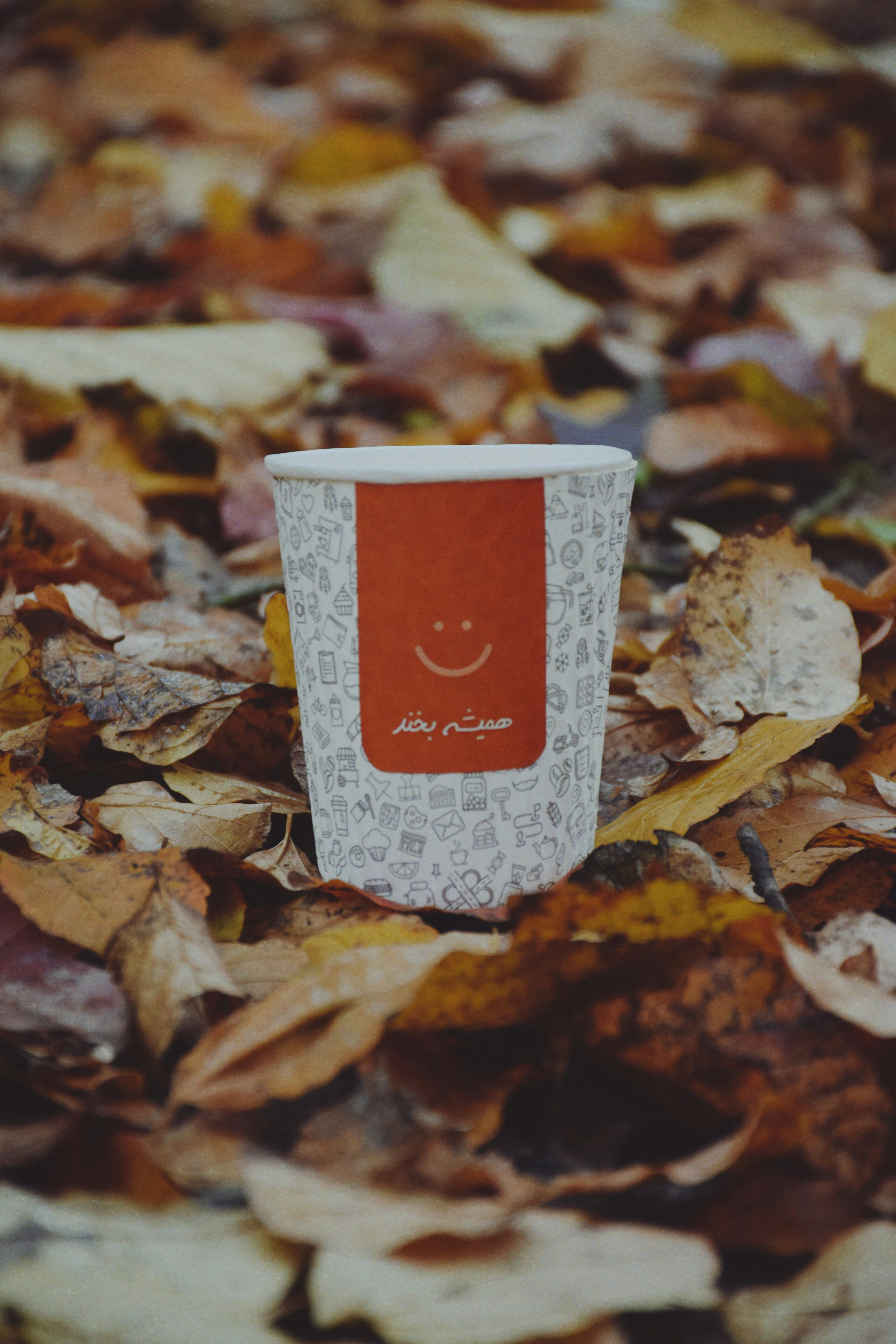 Smiling Cup on a Leaf Carpet: Autumn Quietude