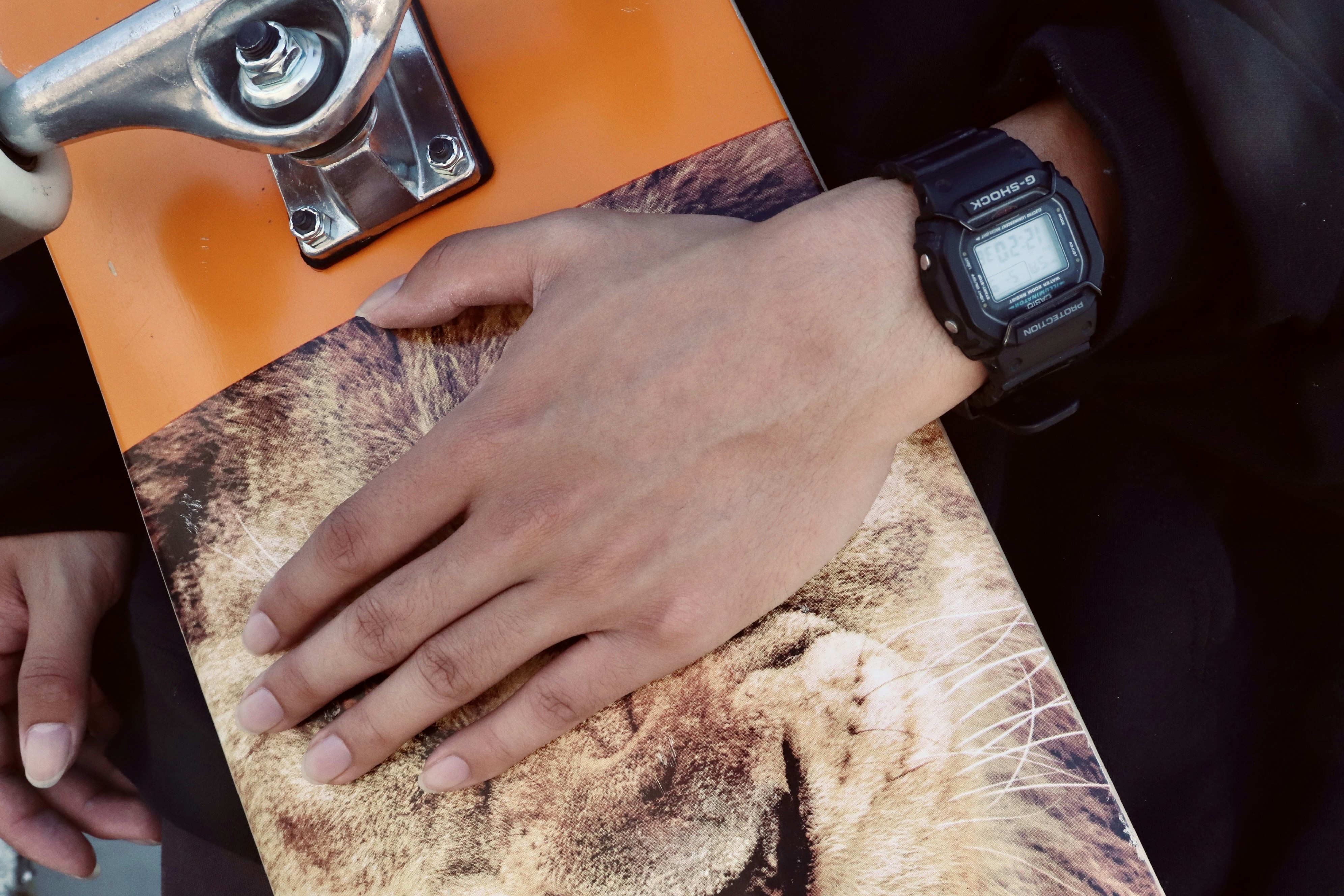 Grasping a Tiger Portrait: A Quiet Moment on an Orange Backdrop