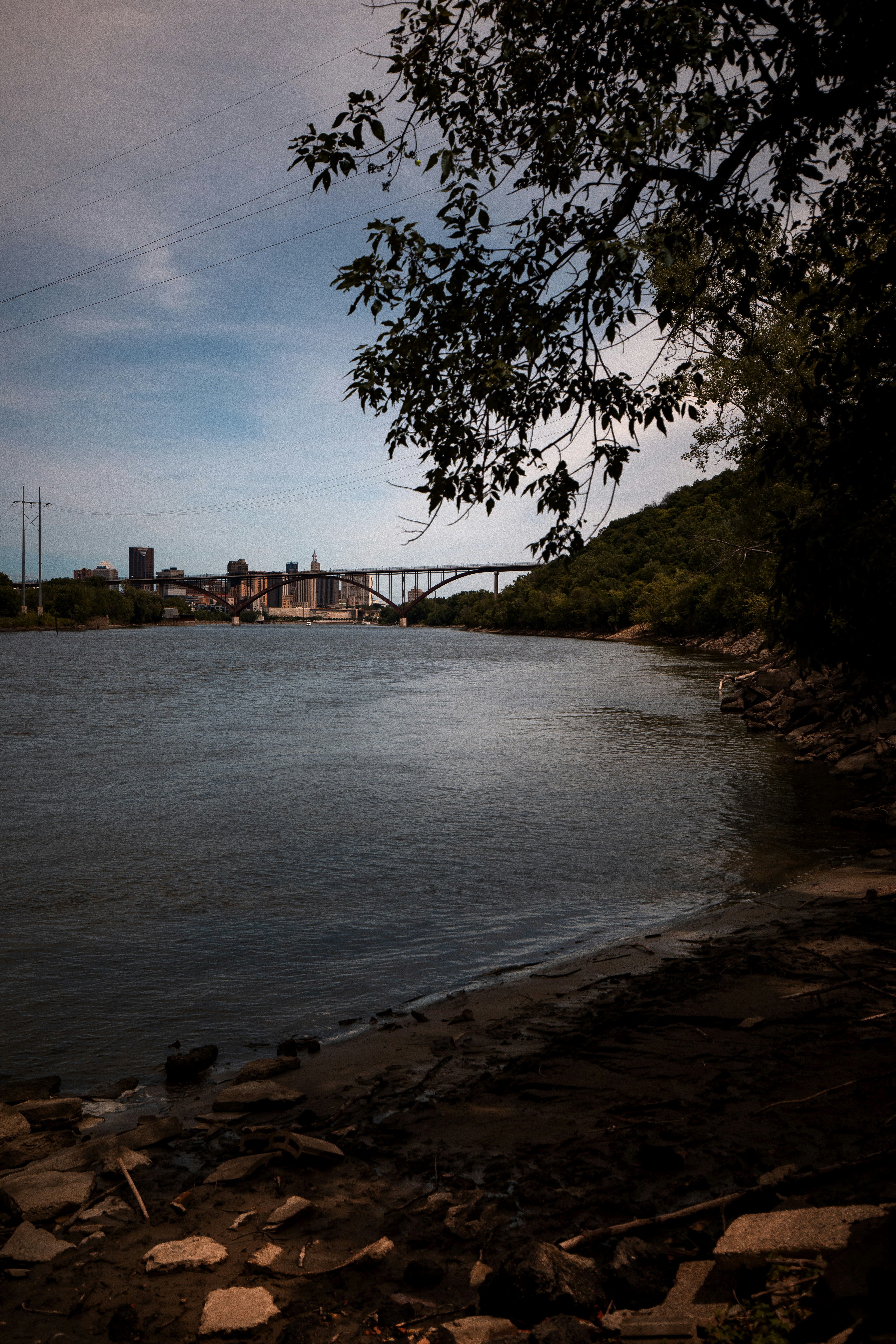 Riverside silhouette: bridge, trees, and calm water under a blue sky
