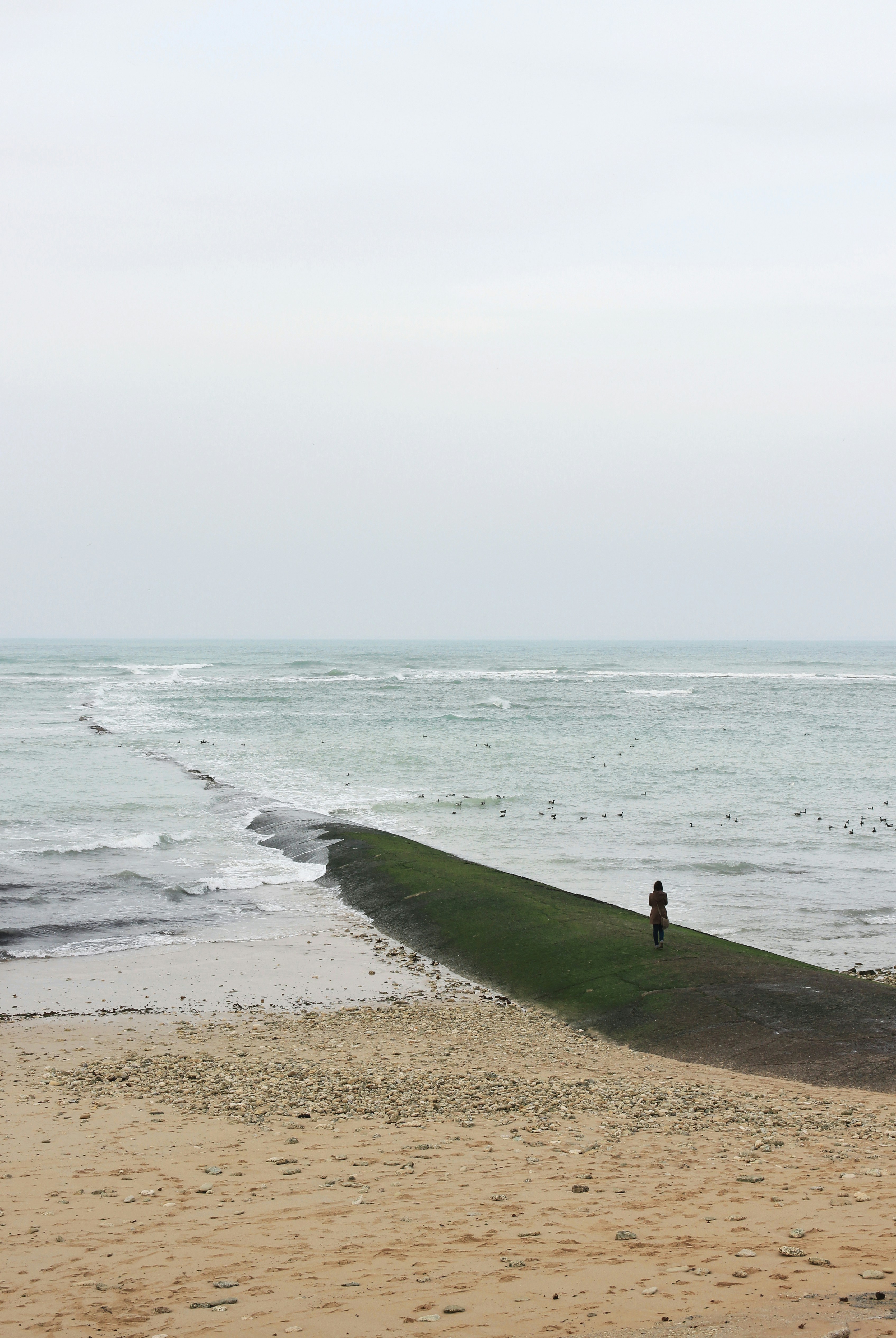 person walking on beach during daytime