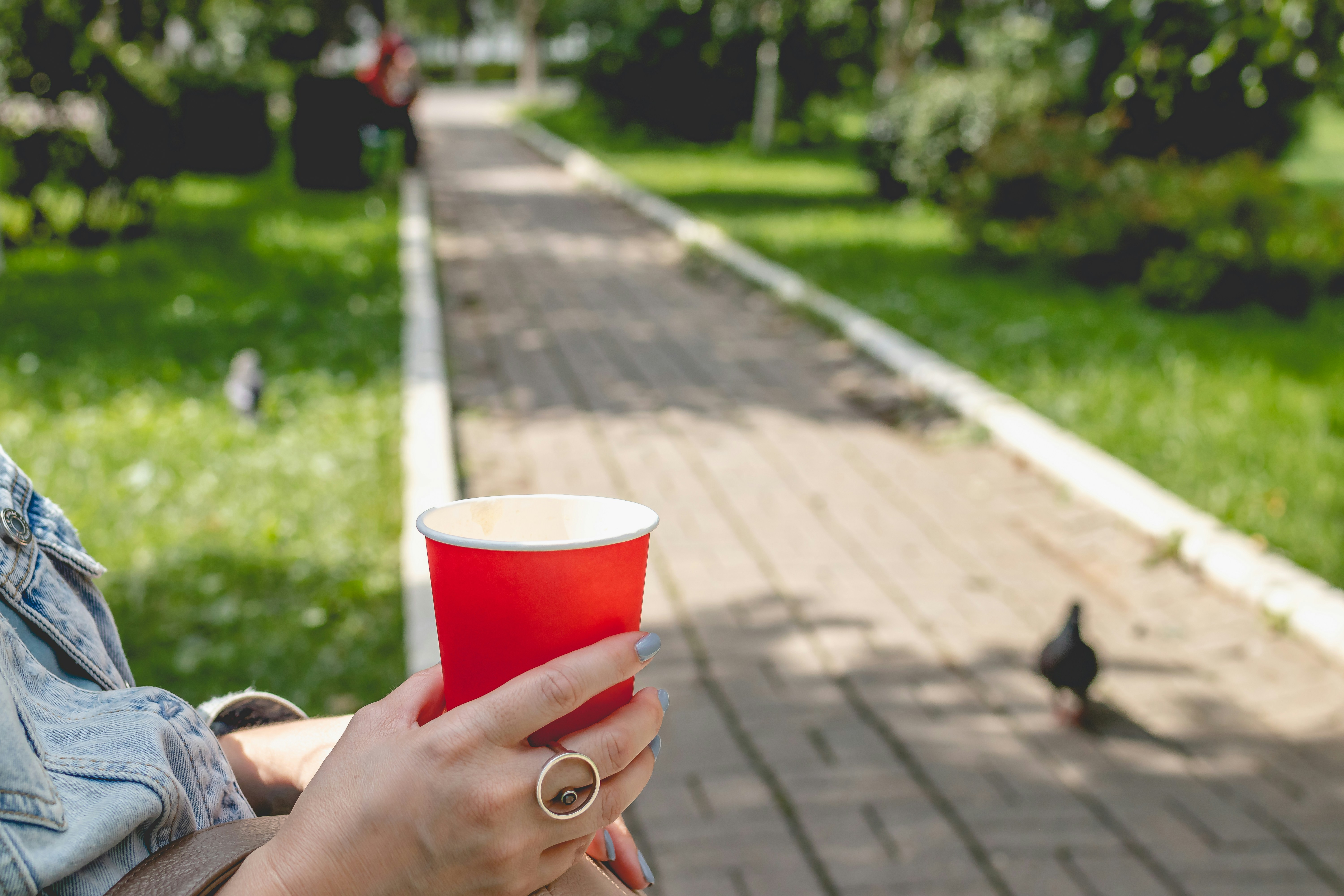 Red Cup in the Park: A Quiet Gesture Framed by Light and Path