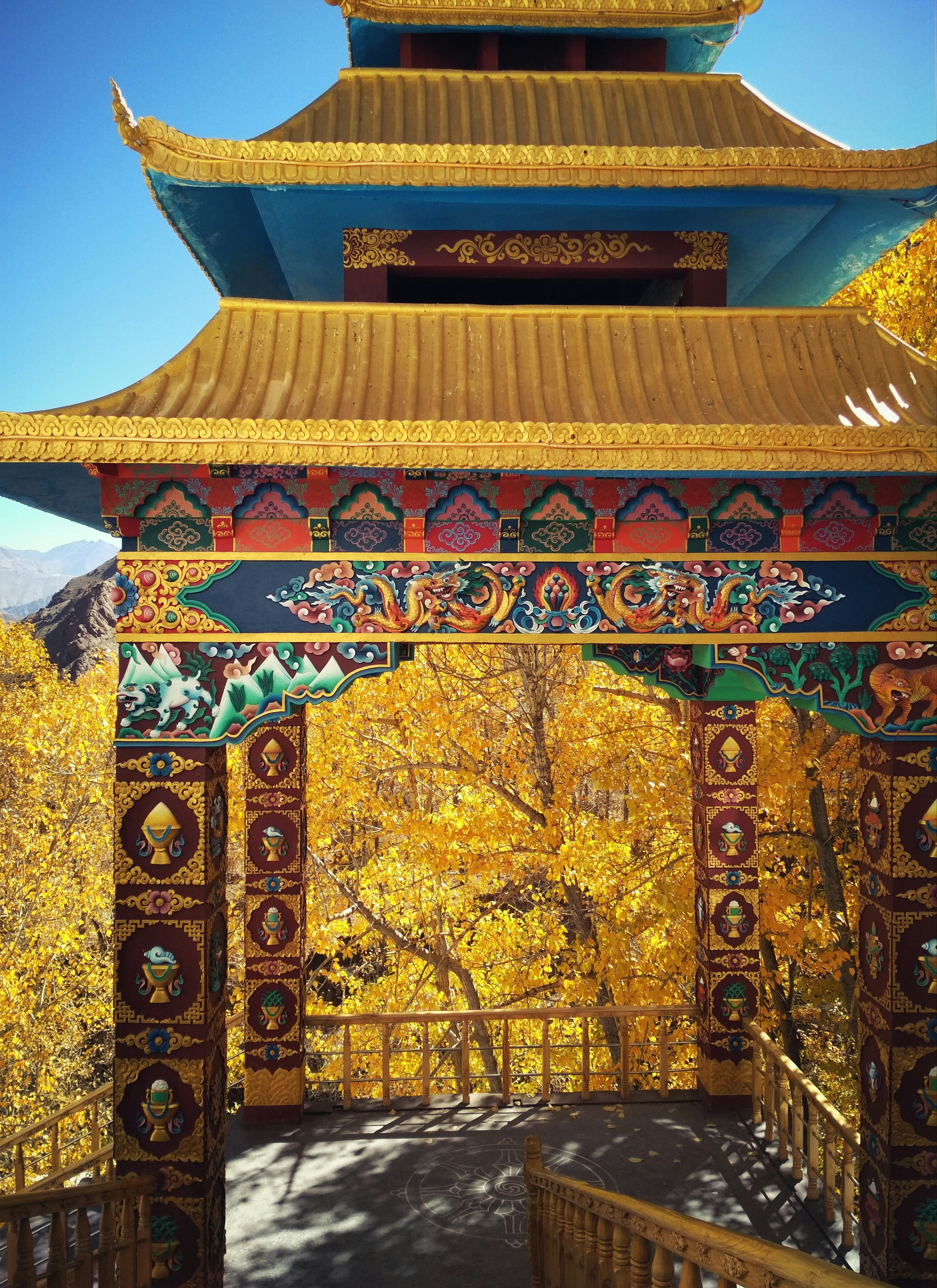 Autumn Gate of Color: A Tibetan Pavilion Amid Golden Leaves