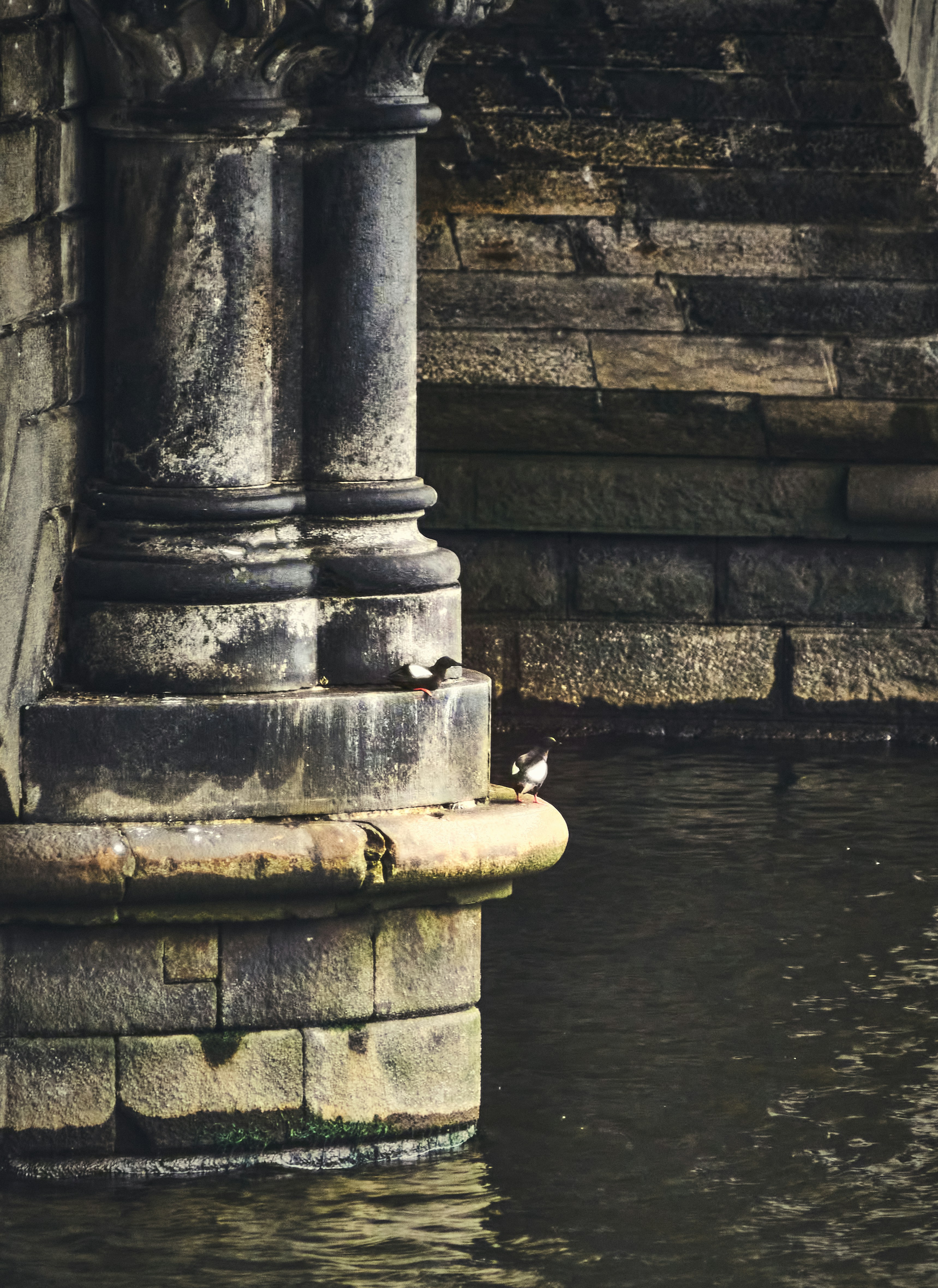 Two small birds perch on the stone ledge of an aged riverside pillar, with water lapping at the base. Moody, muted tones emphasize weathered masonry and the quiet rhythm of the scene.